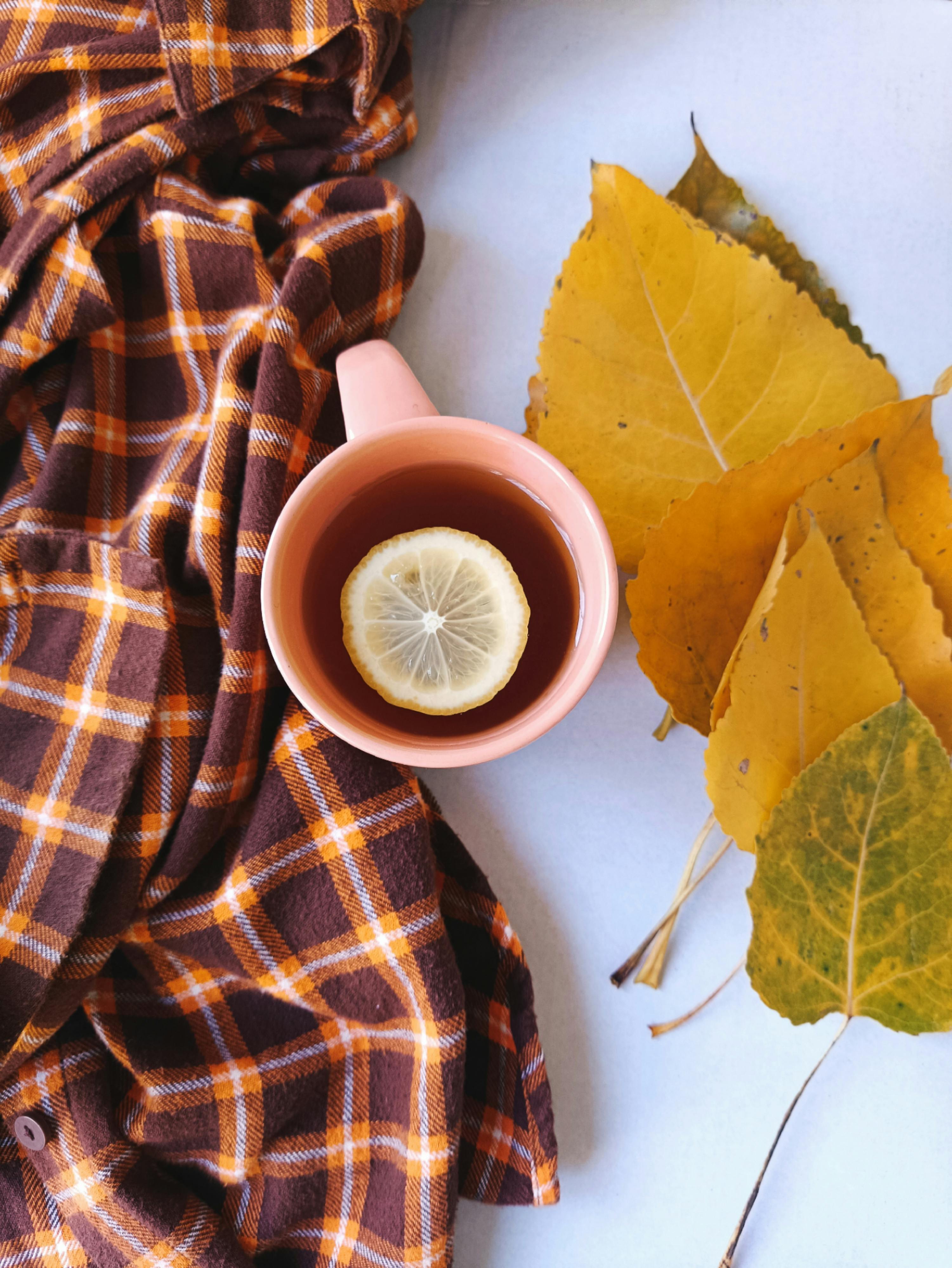 Two+Time+Pfp Photos, Download The BEST Free Two+Time+Pfp Stock Photos ...