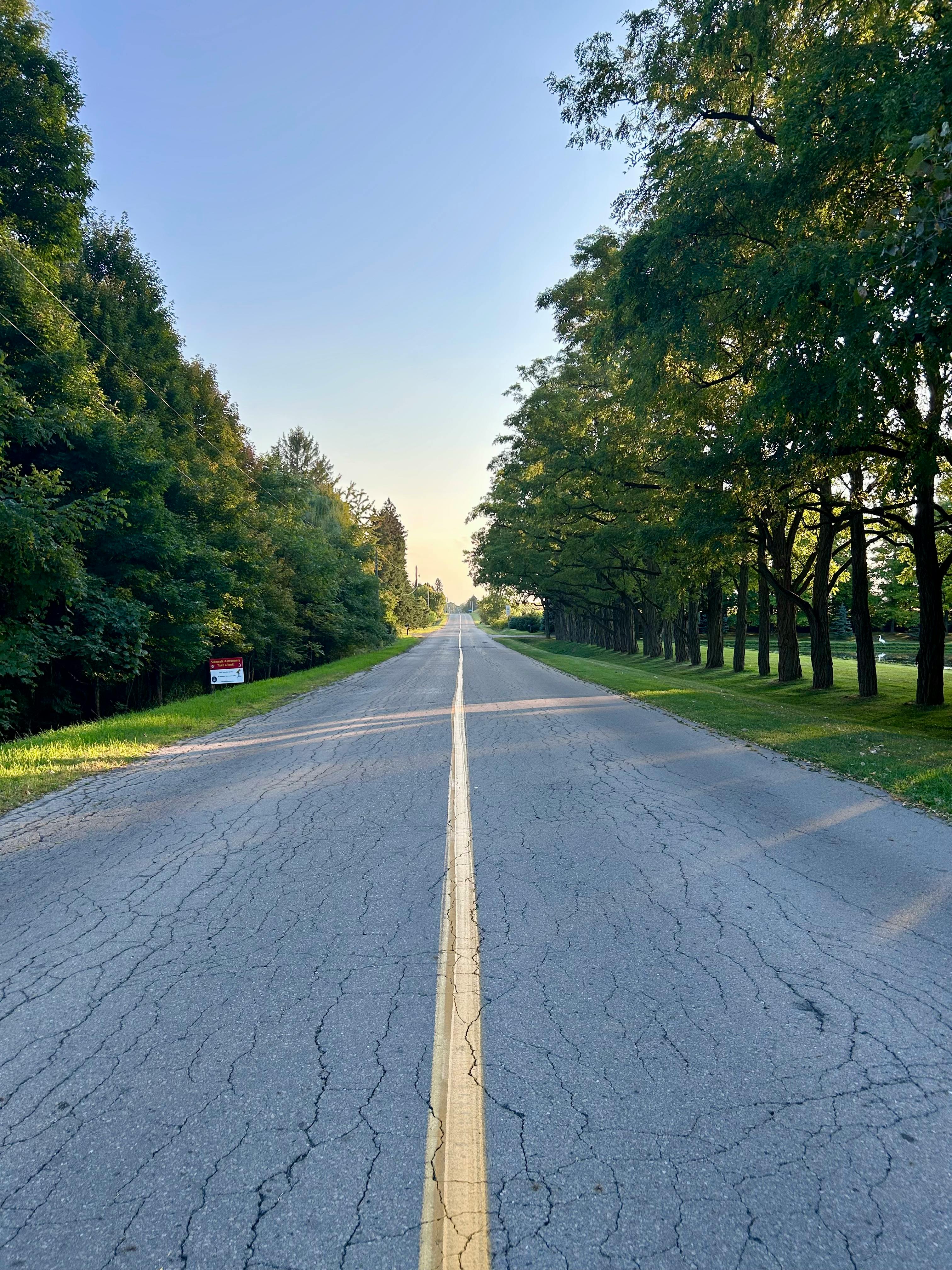 Scenic Road Lined With Trees in Daylight · Free Stock Photo