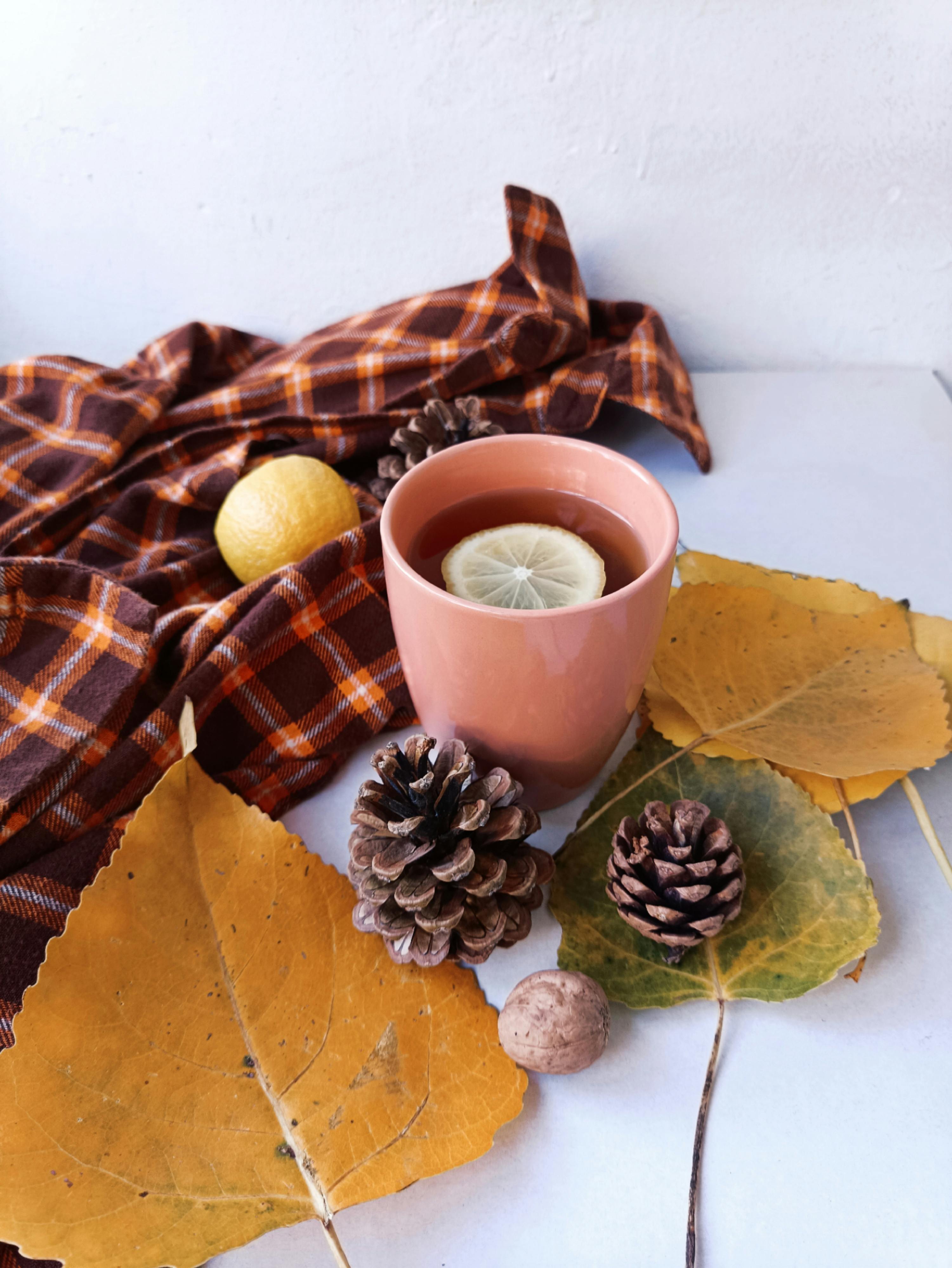 Two+Time+Pfp Photos, Download The BEST Free Two+Time+Pfp Stock Photos ...