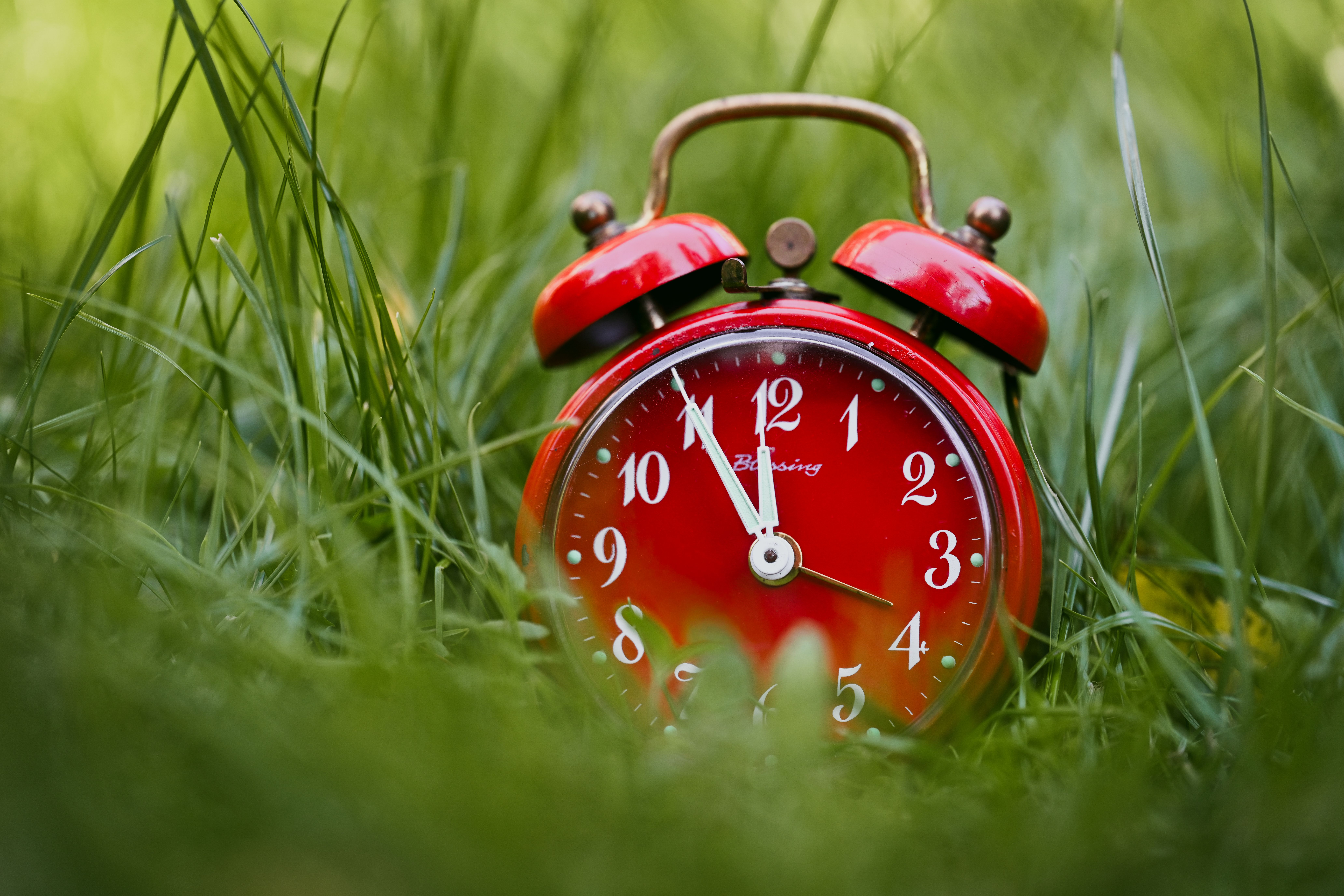 Spring Countdown Photos, Download The BEST Free Spring Countdown Stock ...
