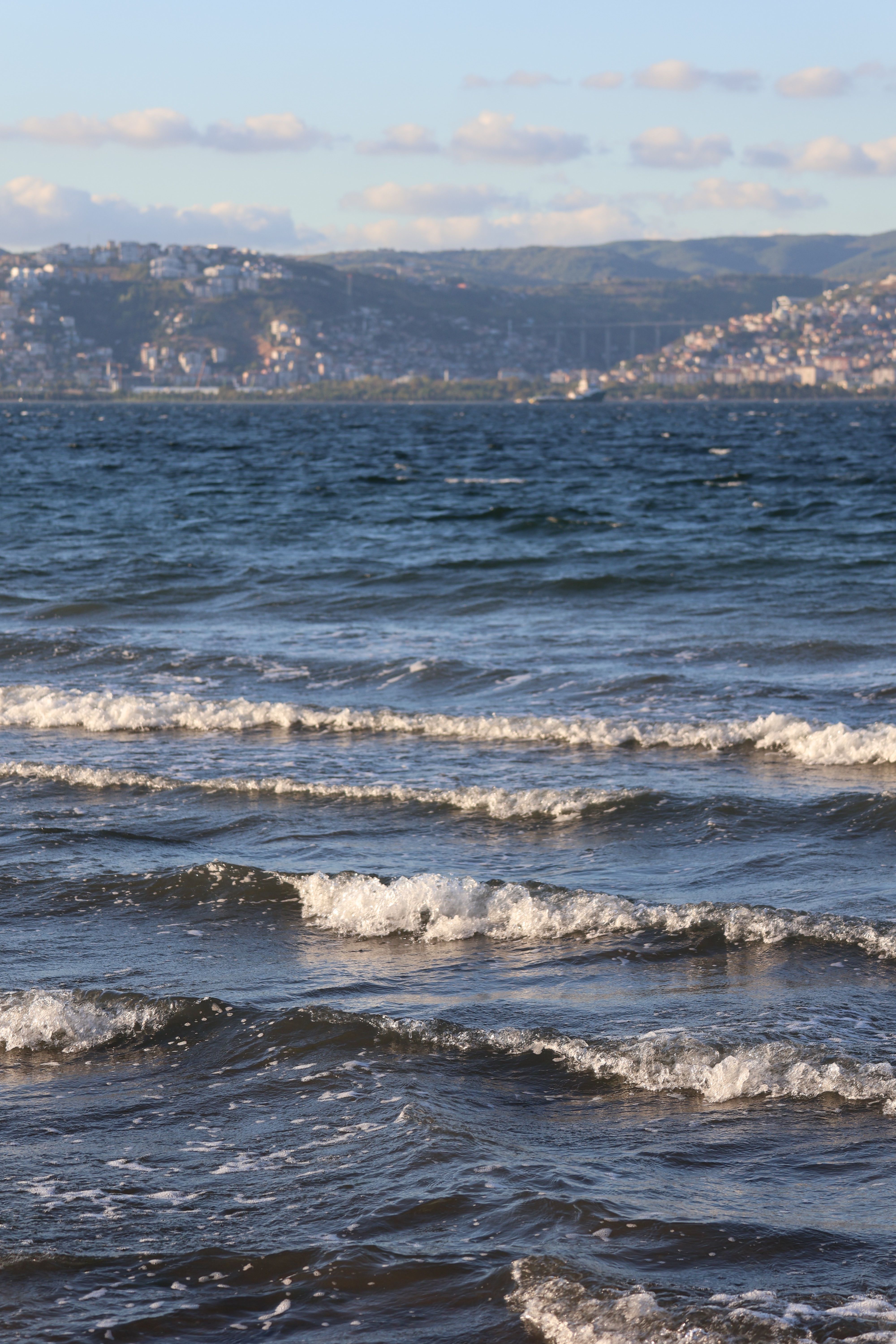 Background Bunga Photos, Download The BEST Free Background Bunga Stock ...