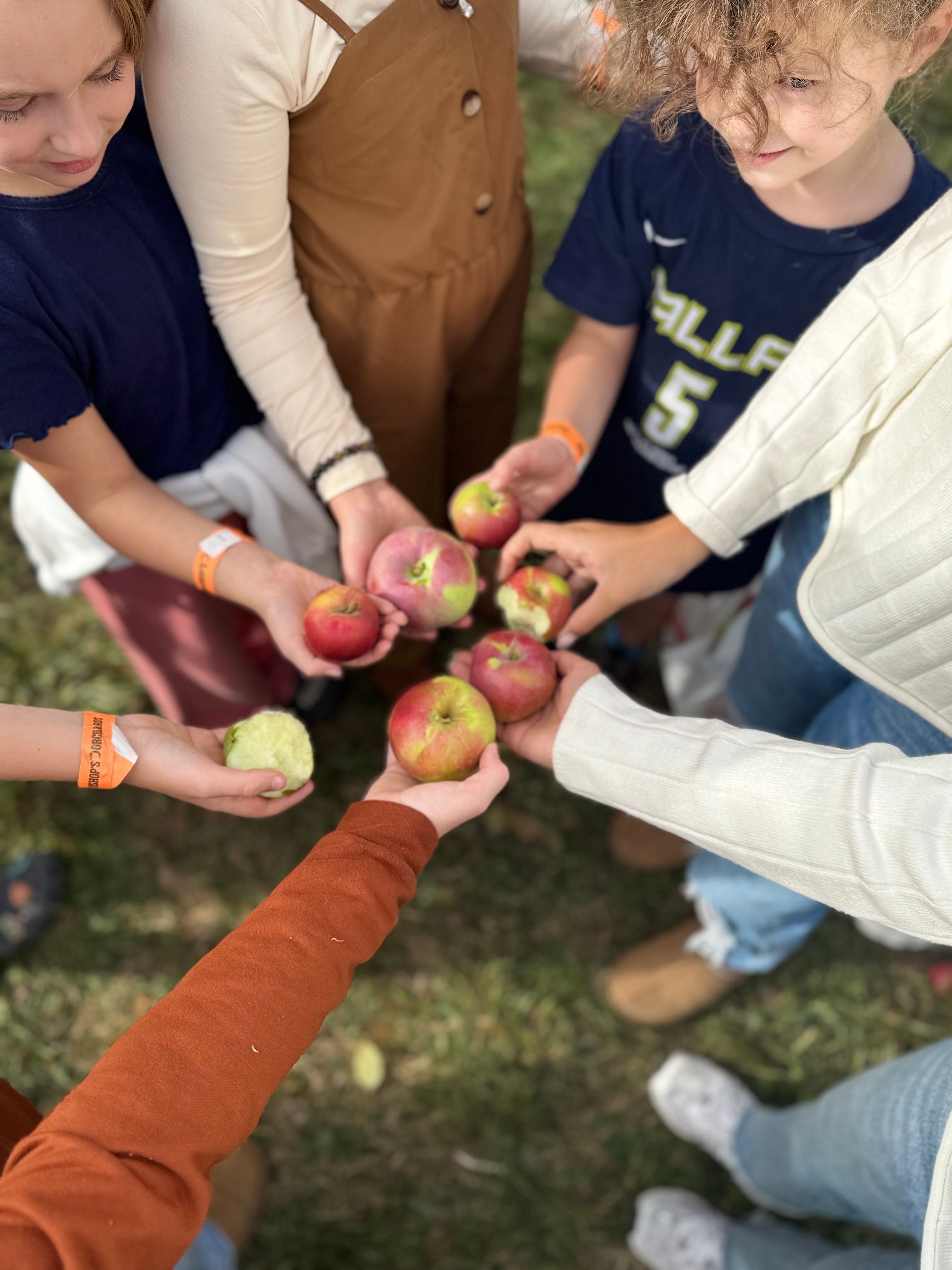 Lots Of Kids Friends Picking Apples Photos, Download The BEST Free Lots ...