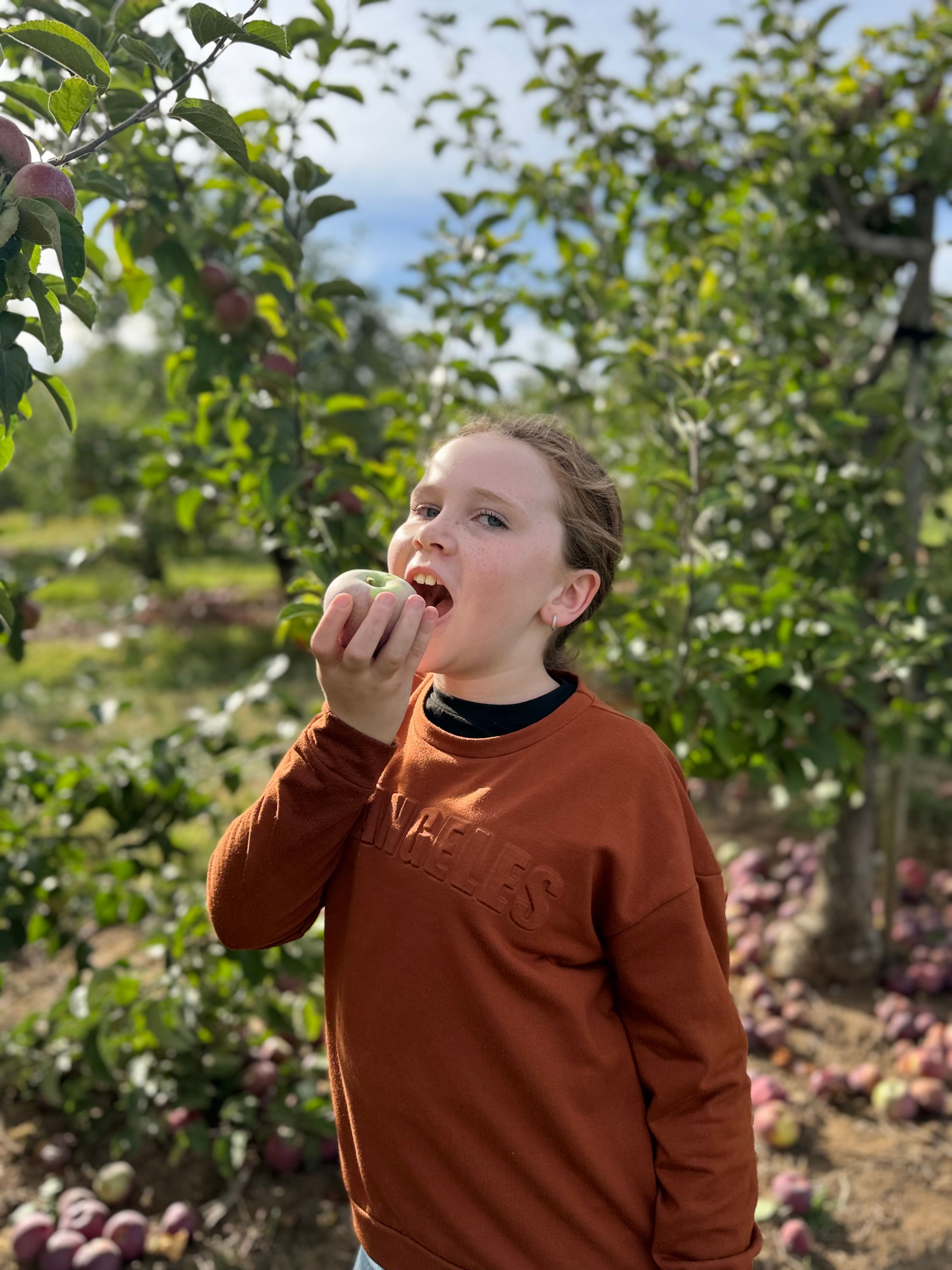Apple Ar Photos, Download The BEST Free Apple Ar Stock Photos & HD Images