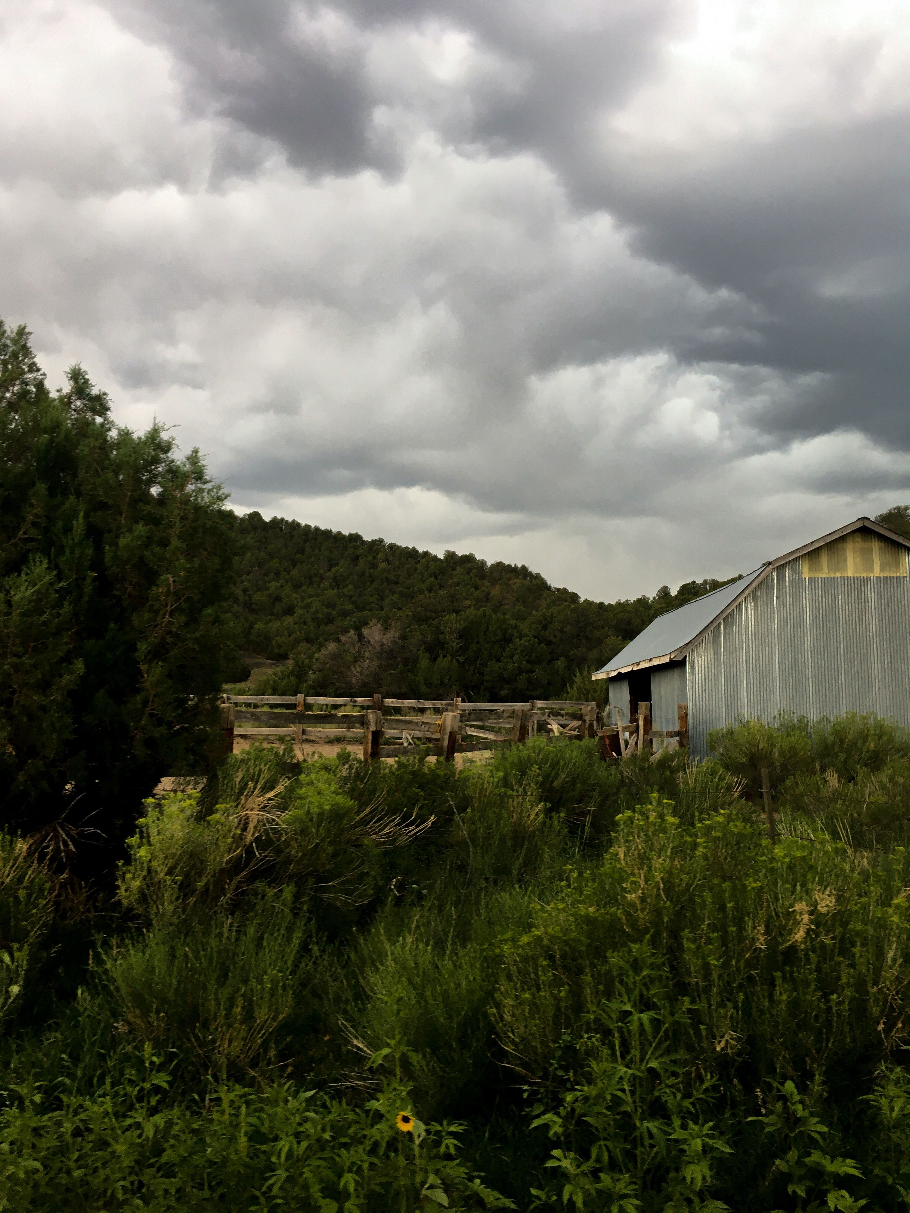 Remote Ranch Photos, Download The BEST Free Remote Ranch Stock Photos ...