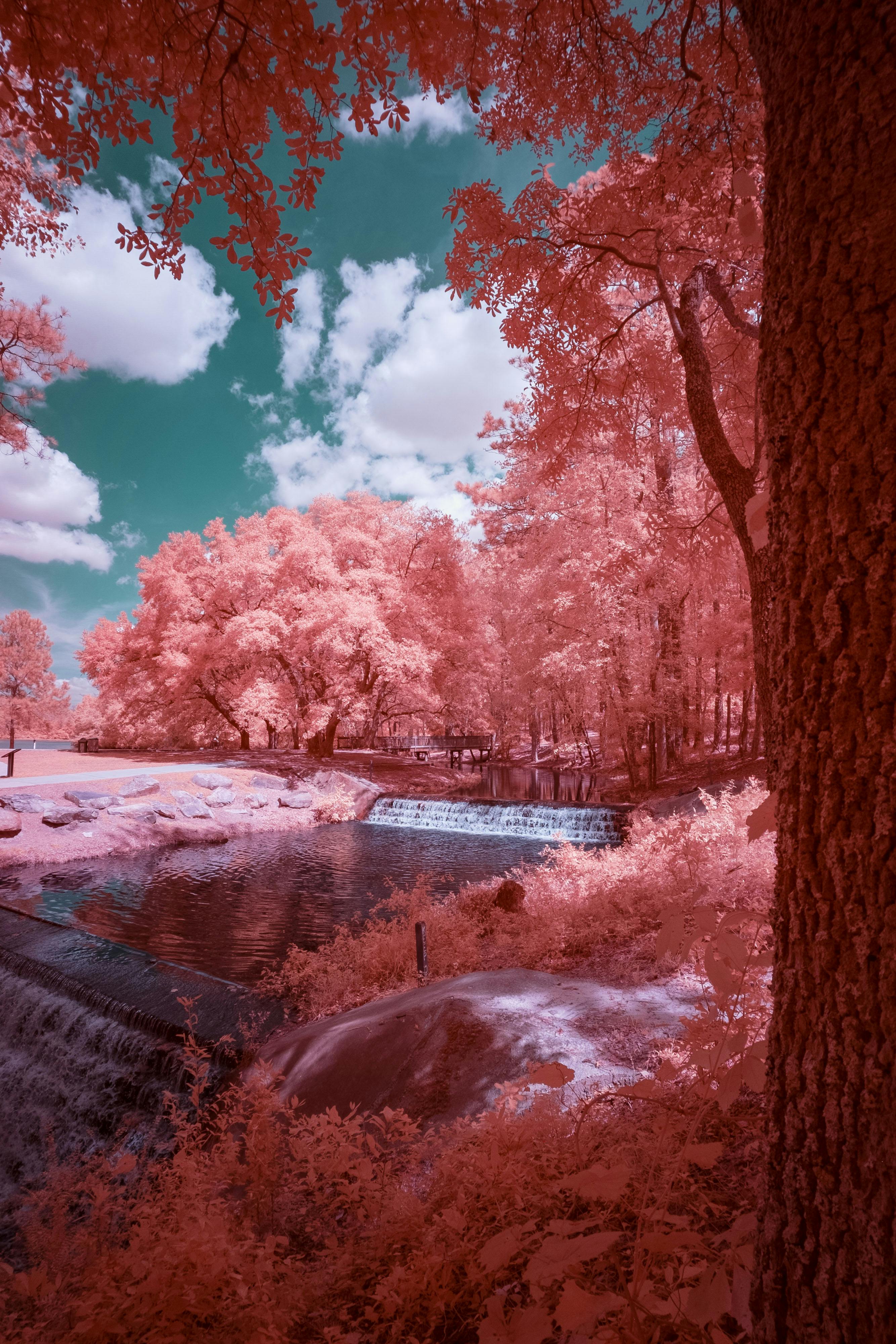 Surreal Infrared Forest Pathway and Waterfall · Free Stock Photo