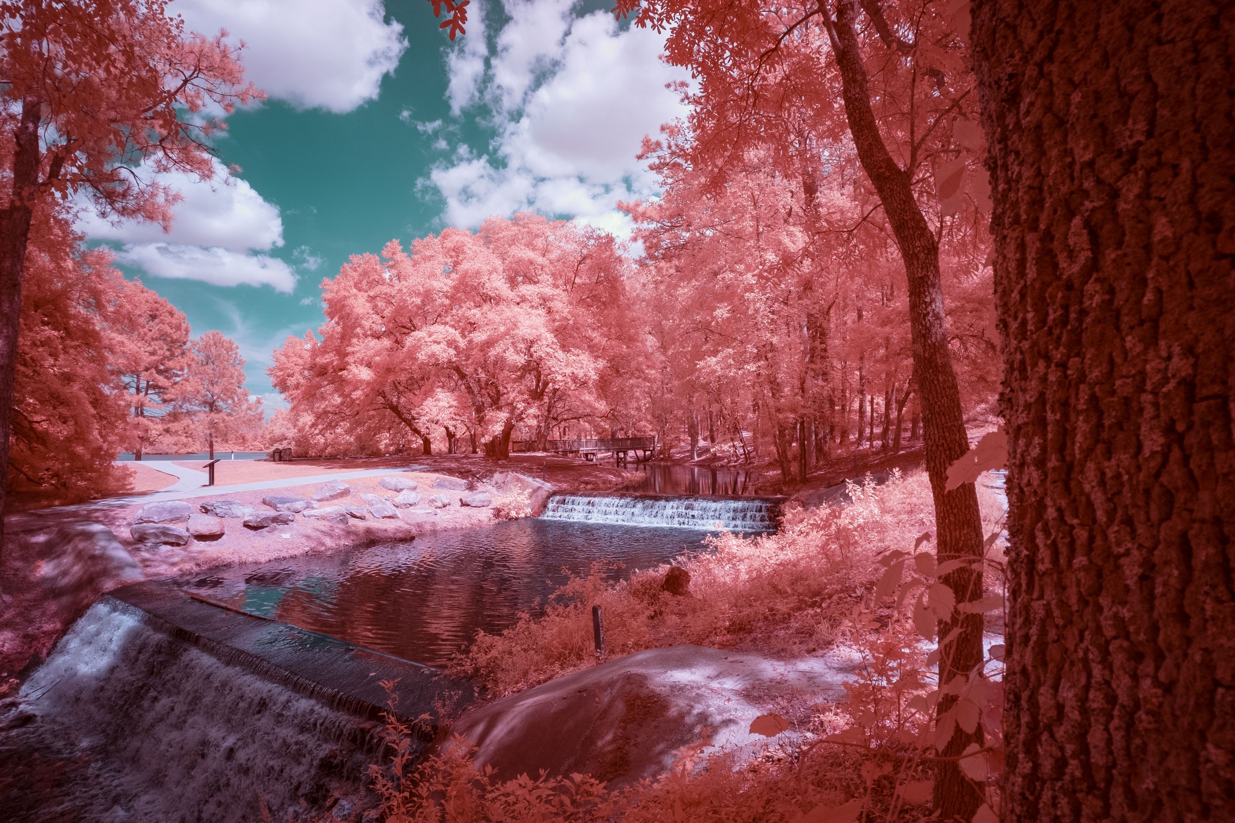 Infrared Dreamscape of Forest and Waterfall · Free Stock Photo