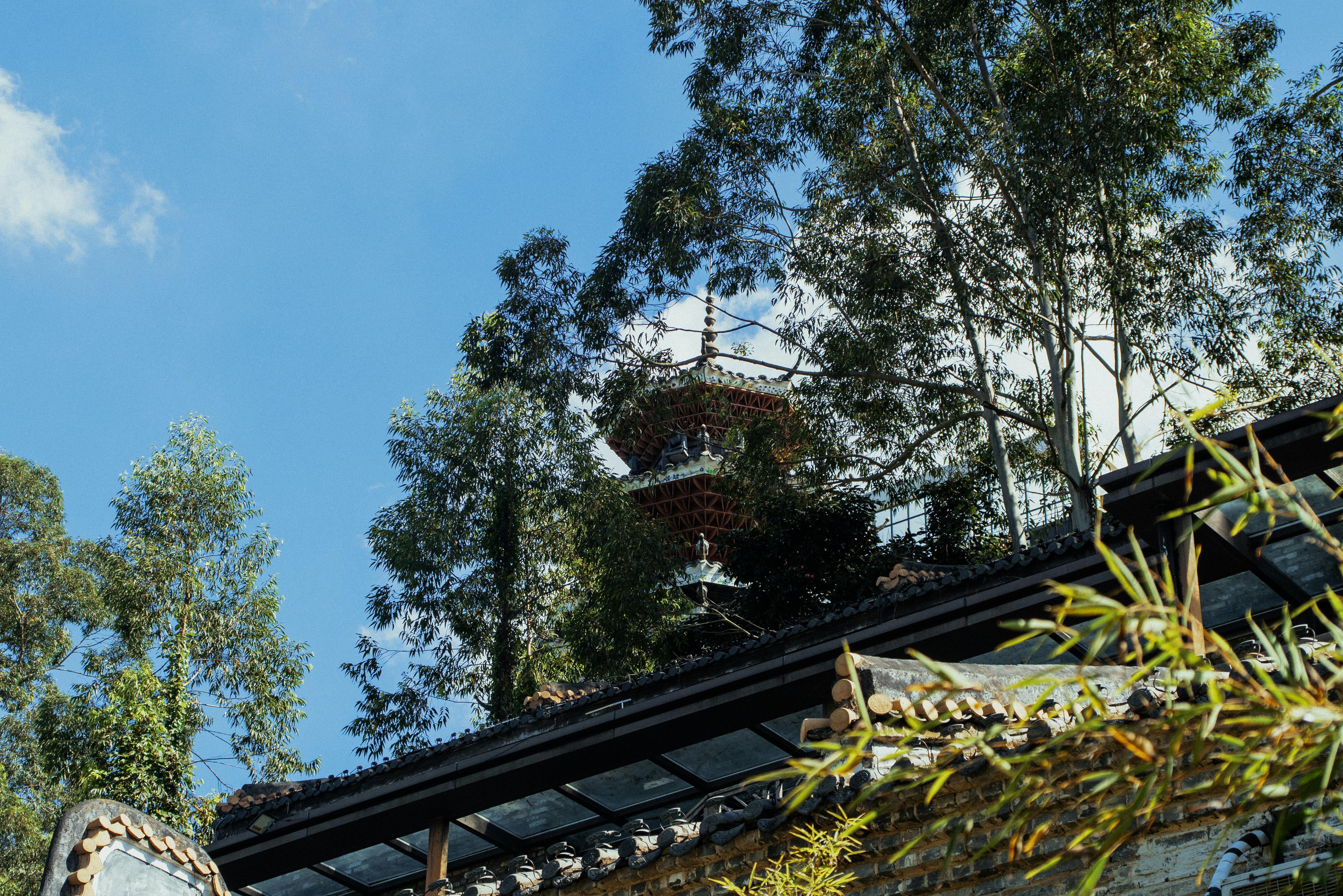 Arasavalli Temple Photos, Download The BEST Free Arasavalli Temple ...