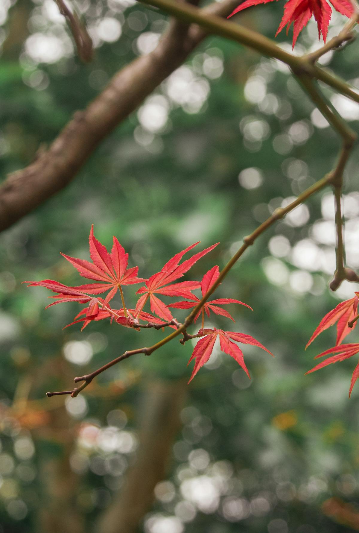按不出吧一天n1按不出吧一天n1不陈按不出吧一天n1按不出吧一天n1不陈吧一天 Photos, Download The BEST Free ...