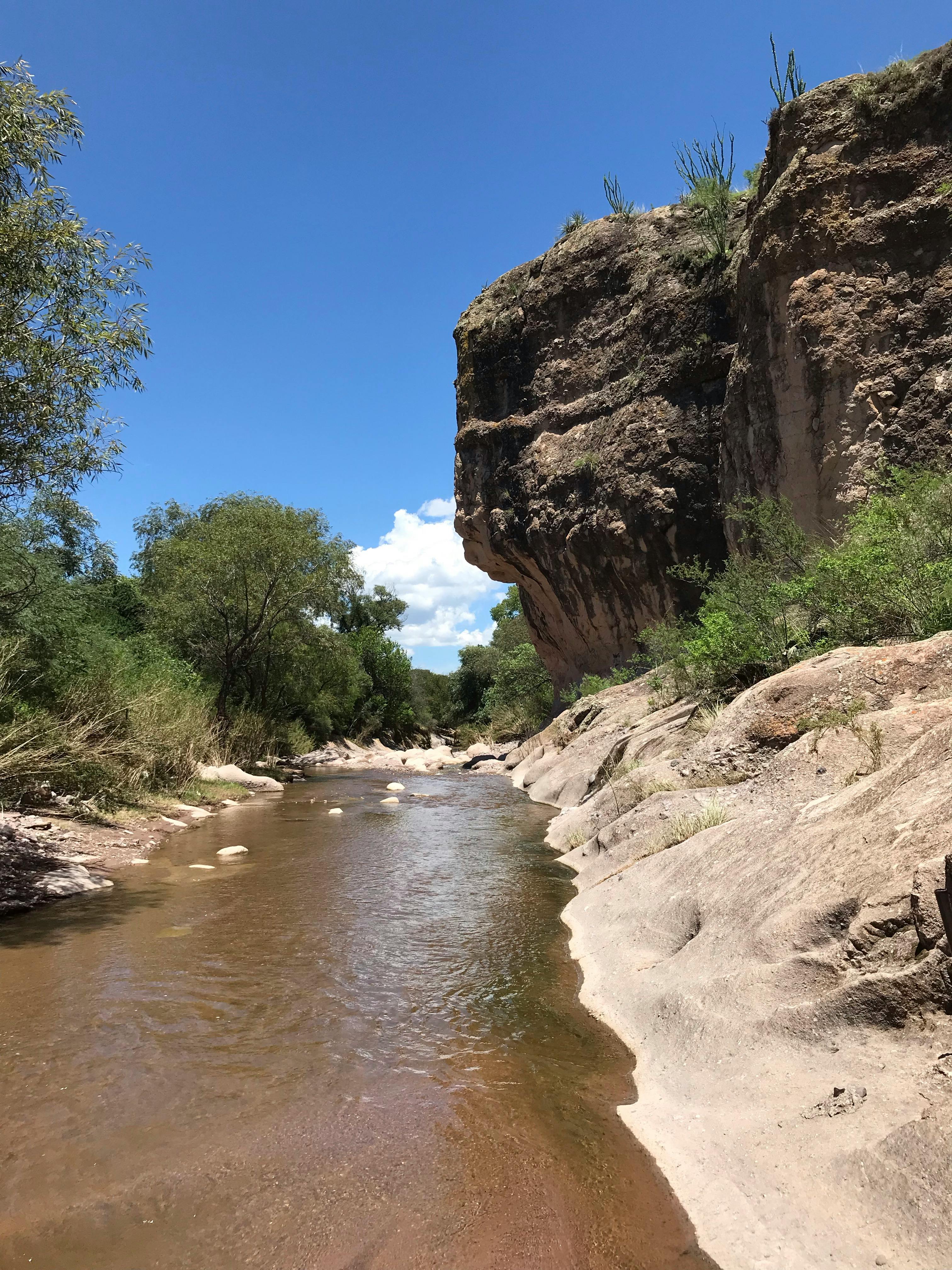 Open+Shirt+Scrollers Photos, Download The BEST Free Open+Shirt ...