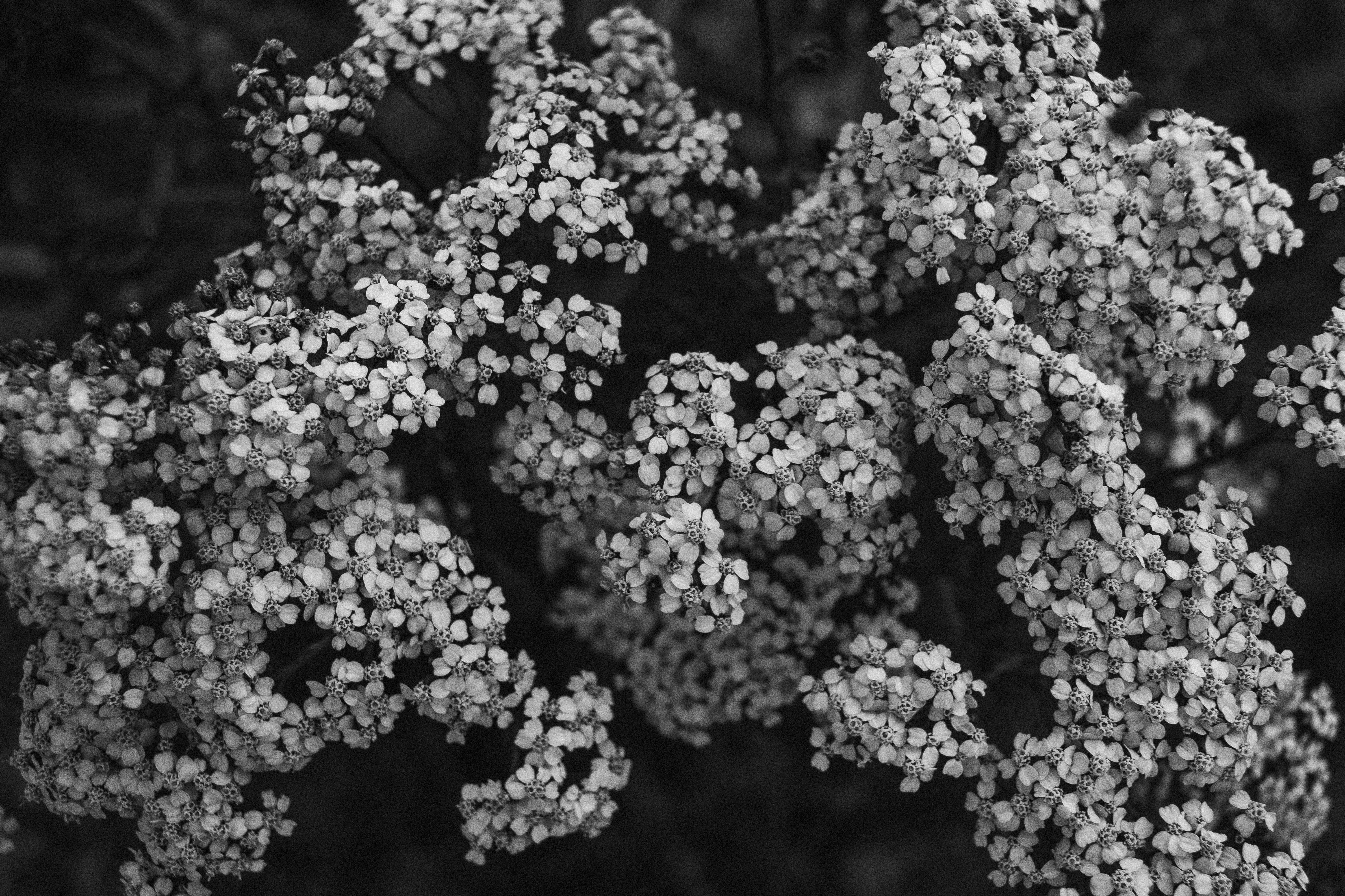 String Thong Photos, Download The BEST Free String Thong Stock Photos ...