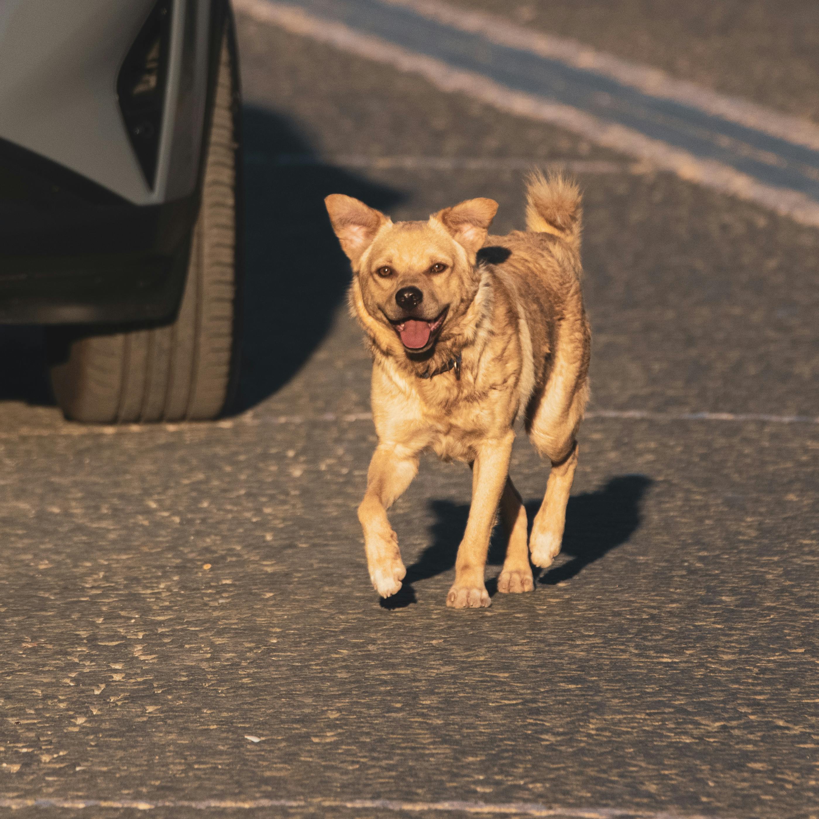 Anime+Goon+Wallpaper Photos, Download The BEST Free Anime+Goon ...