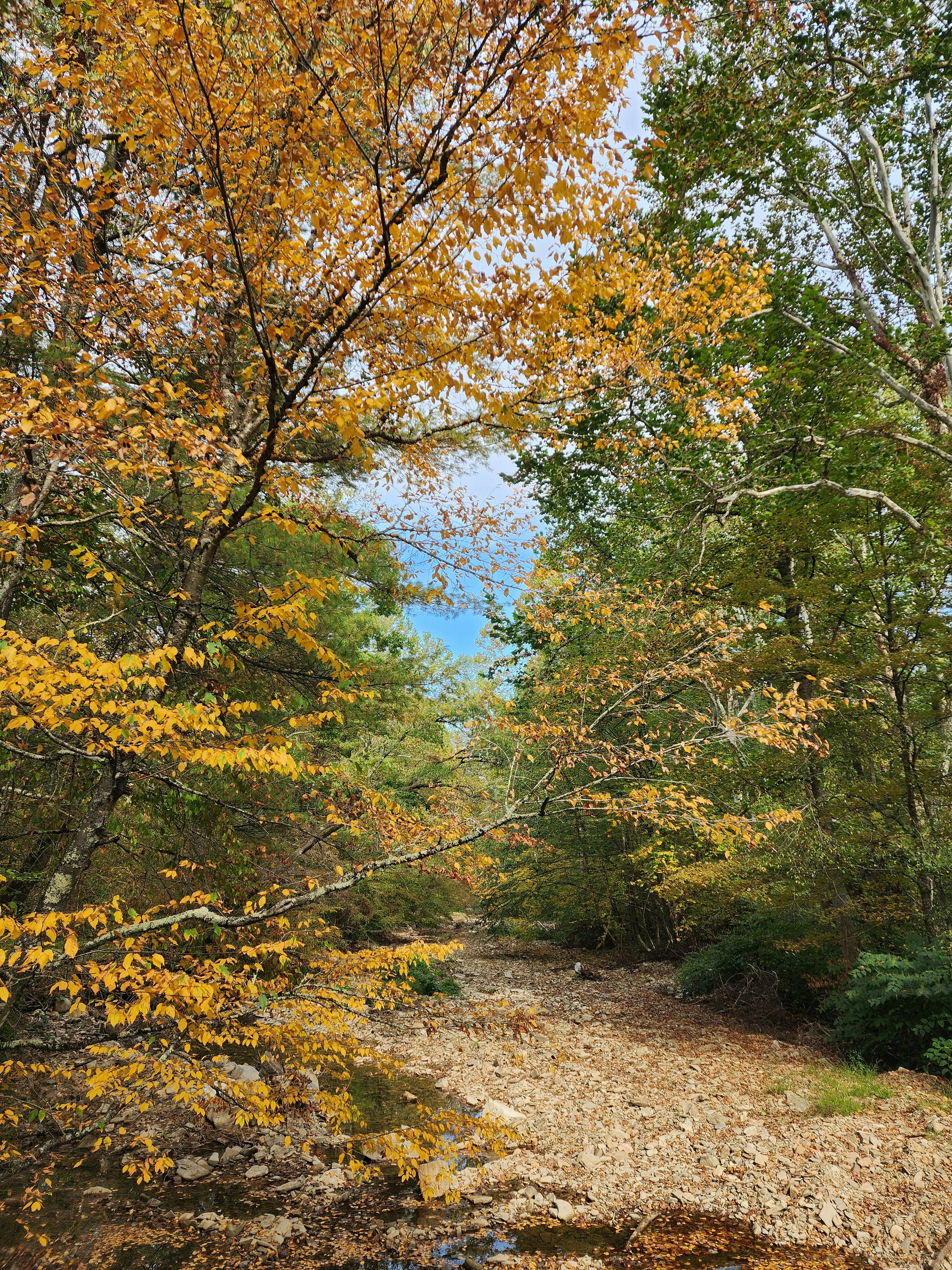 Stream Backgrounds Photos, Download The BEST Free Stream Backgrounds ...