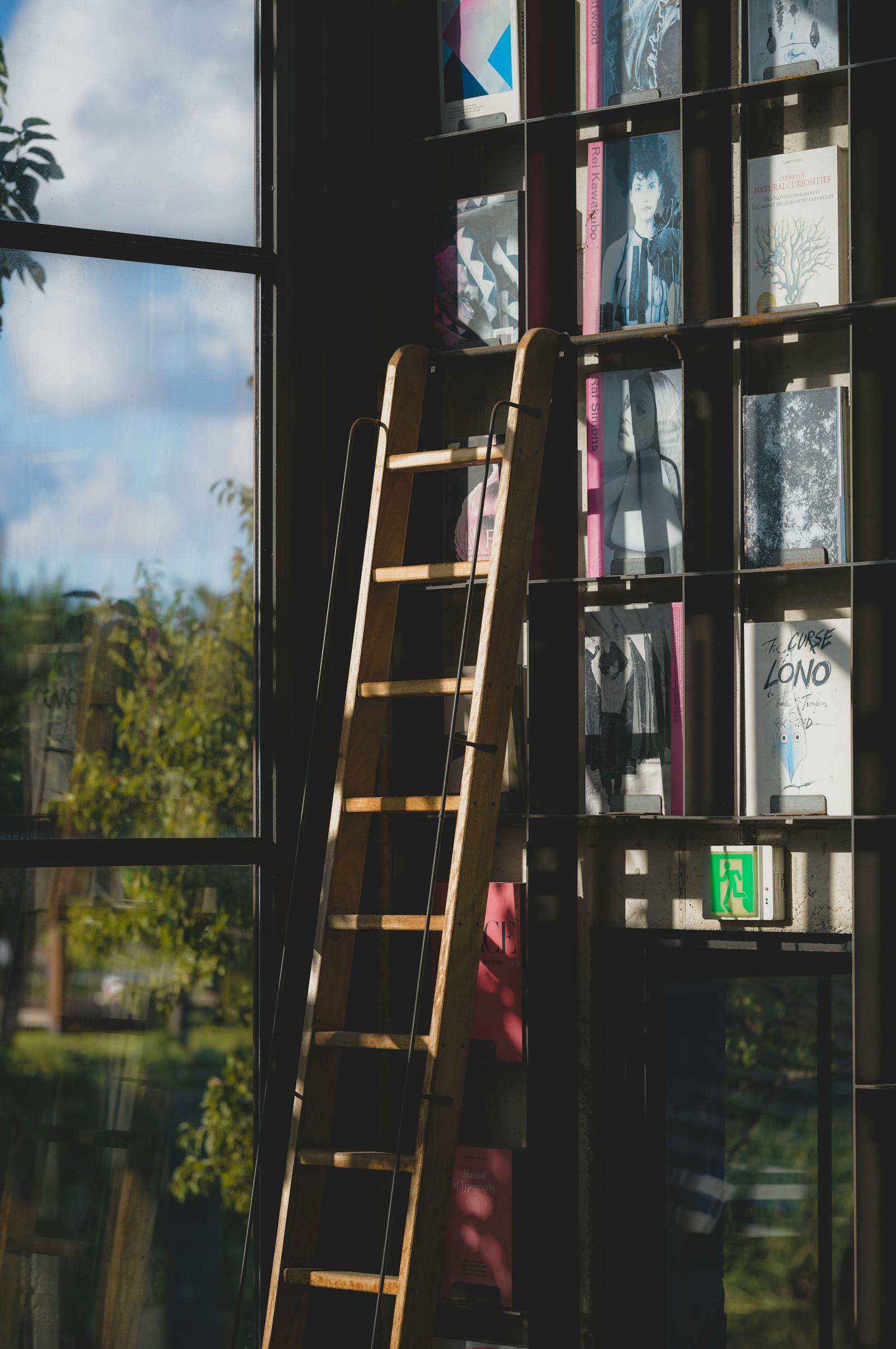 Ladder Safety Photos, Download The BEST Free Ladder Safety Stock Photos ...