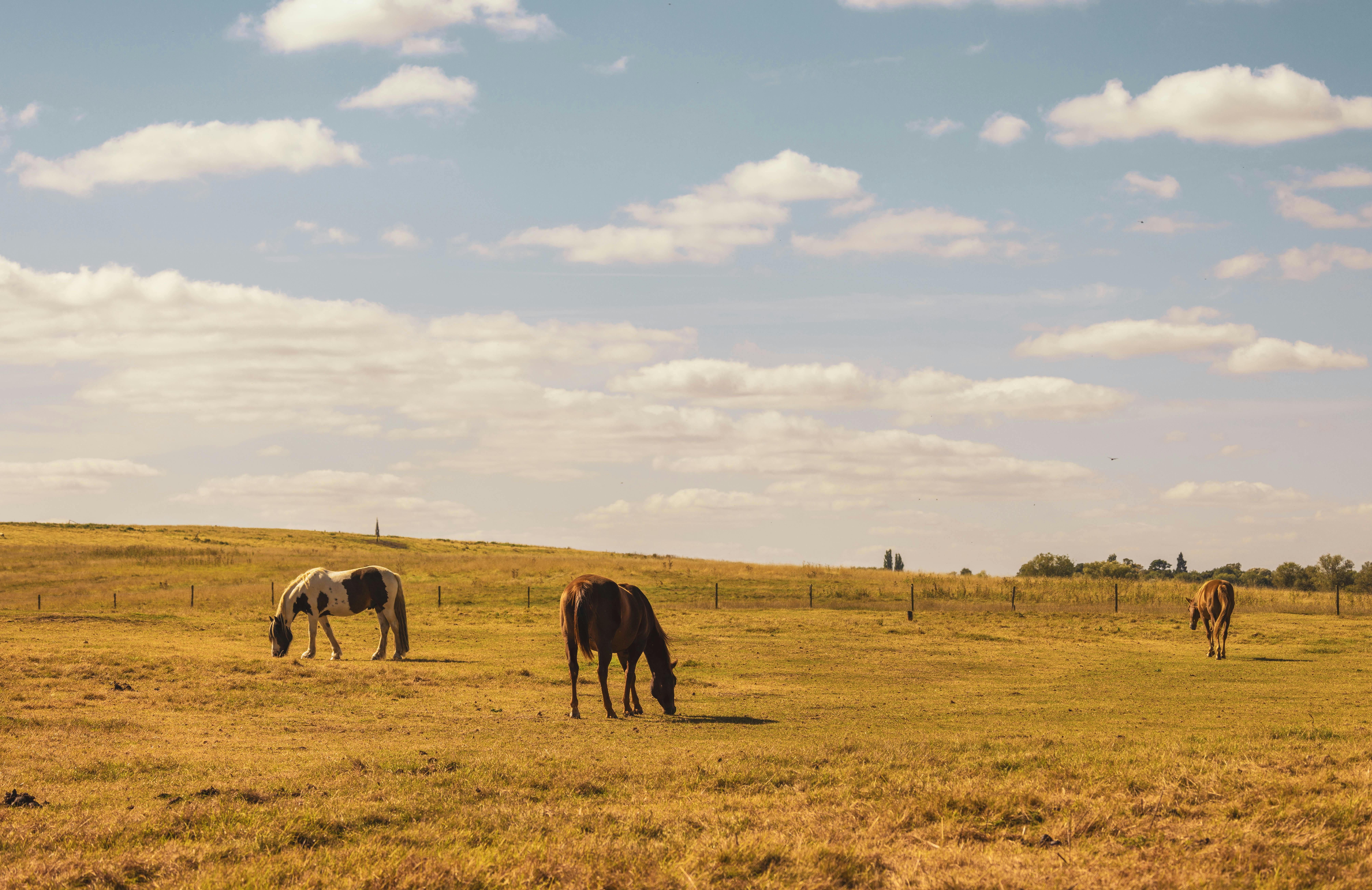 Free+Obby+Thumbnail Photos, Download The BEST Free Free+Obby+Thumbnail ...