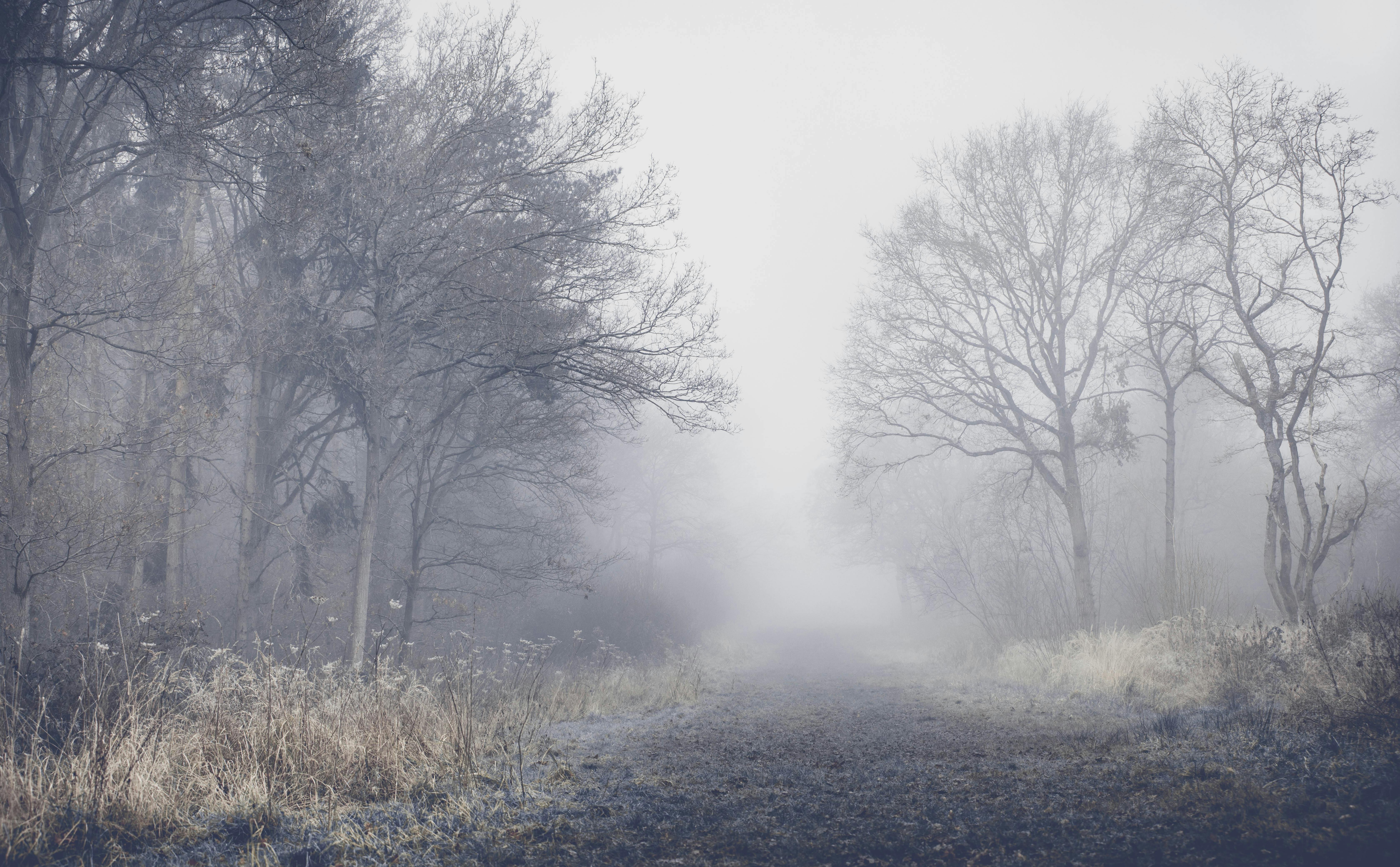 Chilly Morning Photos, Download The BEST Free Chilly Morning Stock ...