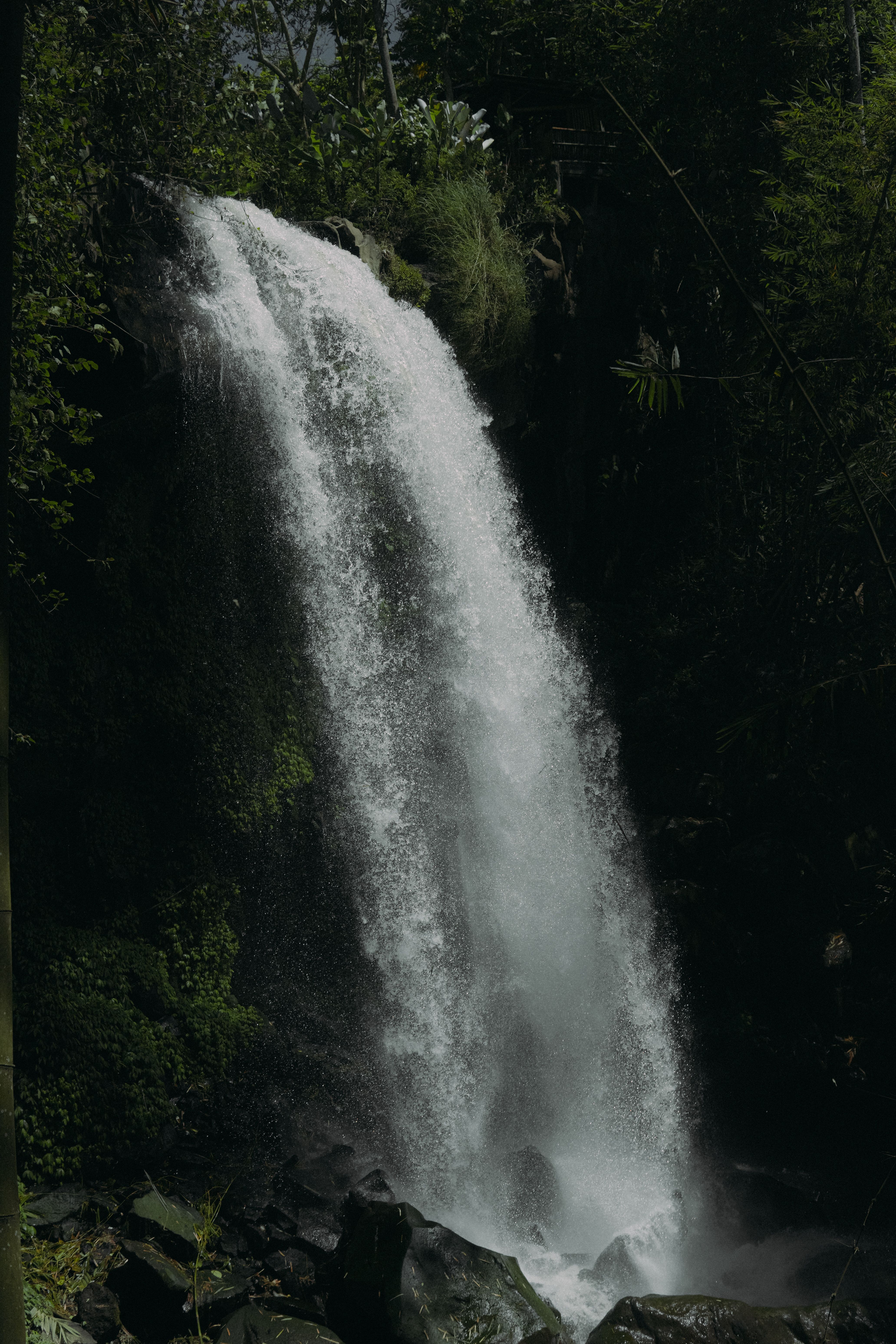 Caremal Splash Photos, Download The BEST Free Caremal Splash Stock ...