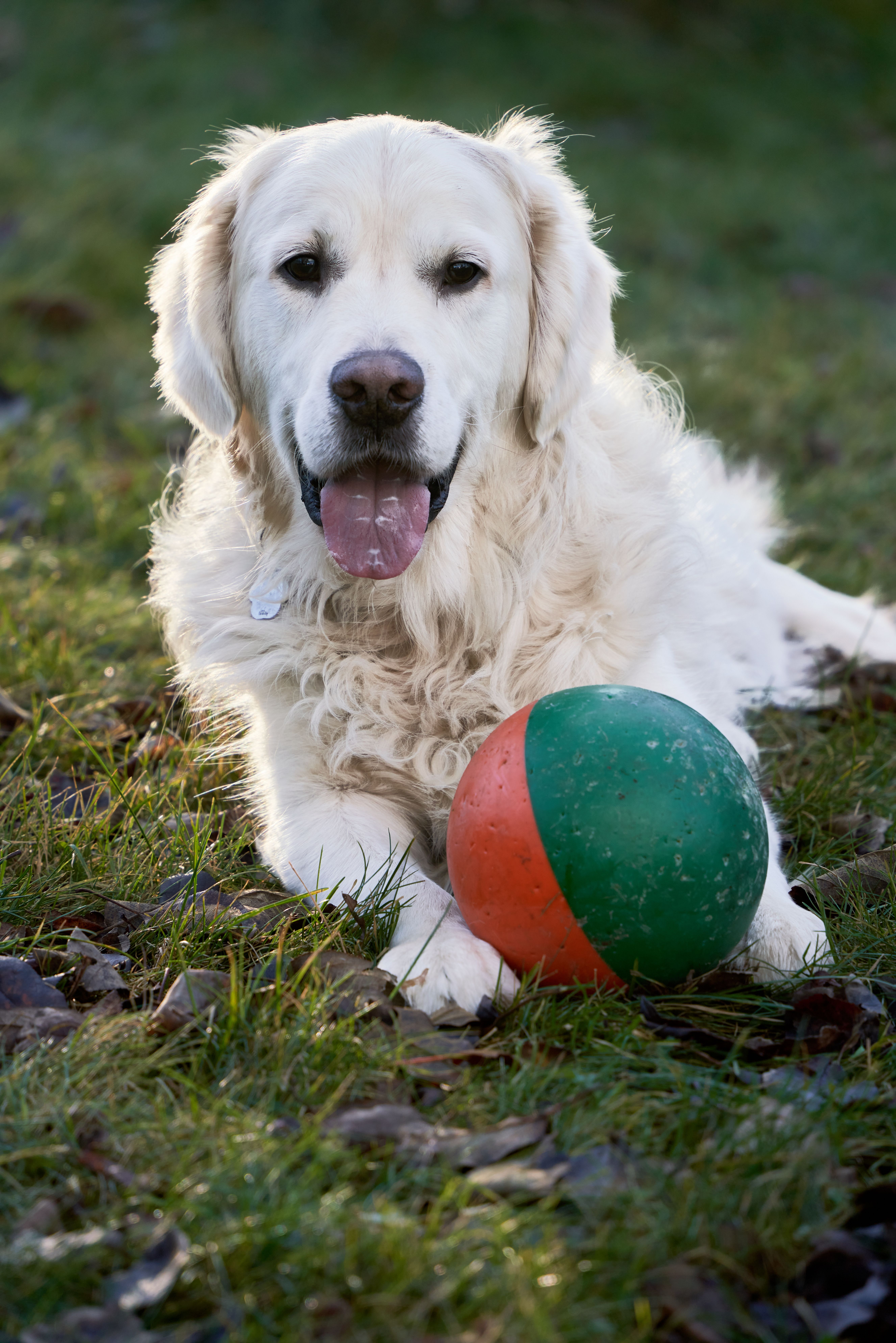 Boys+Volley+Ball Photos, Download The BEST Free Boys+Volley+Ball Stock ...
