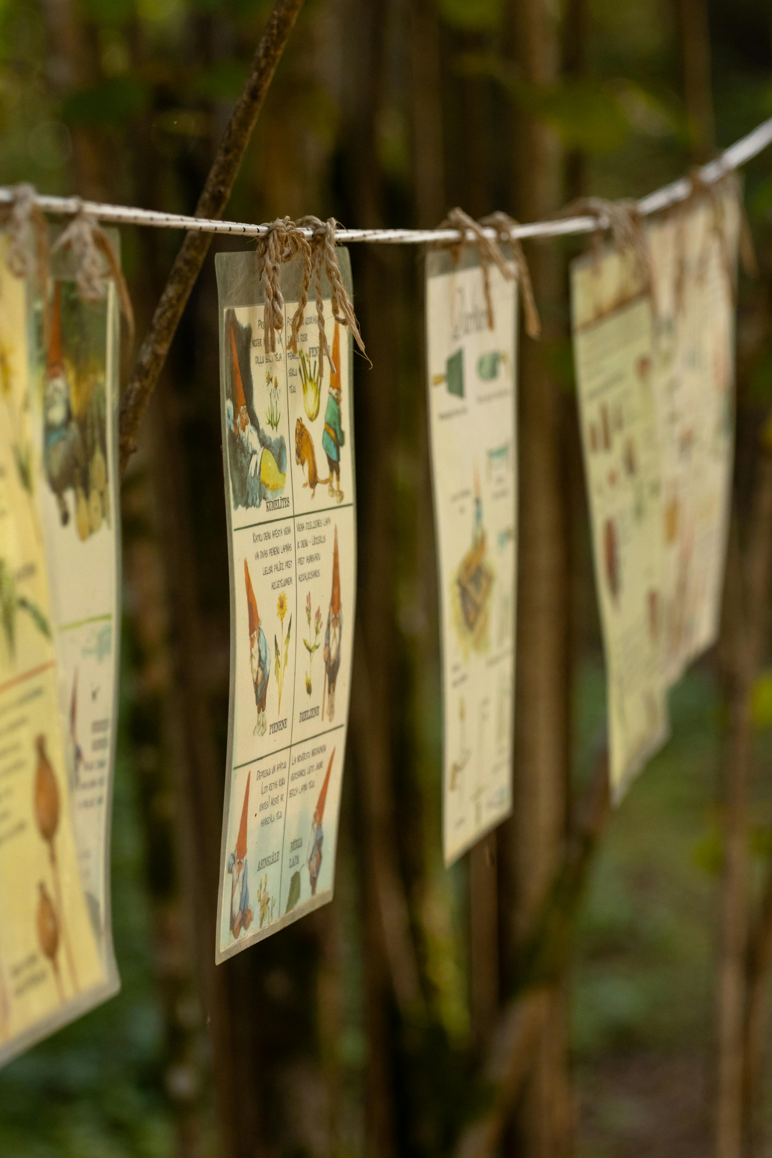 Fairy Images Photos, Download The BEST Free Fairy Images Stock Photos ...