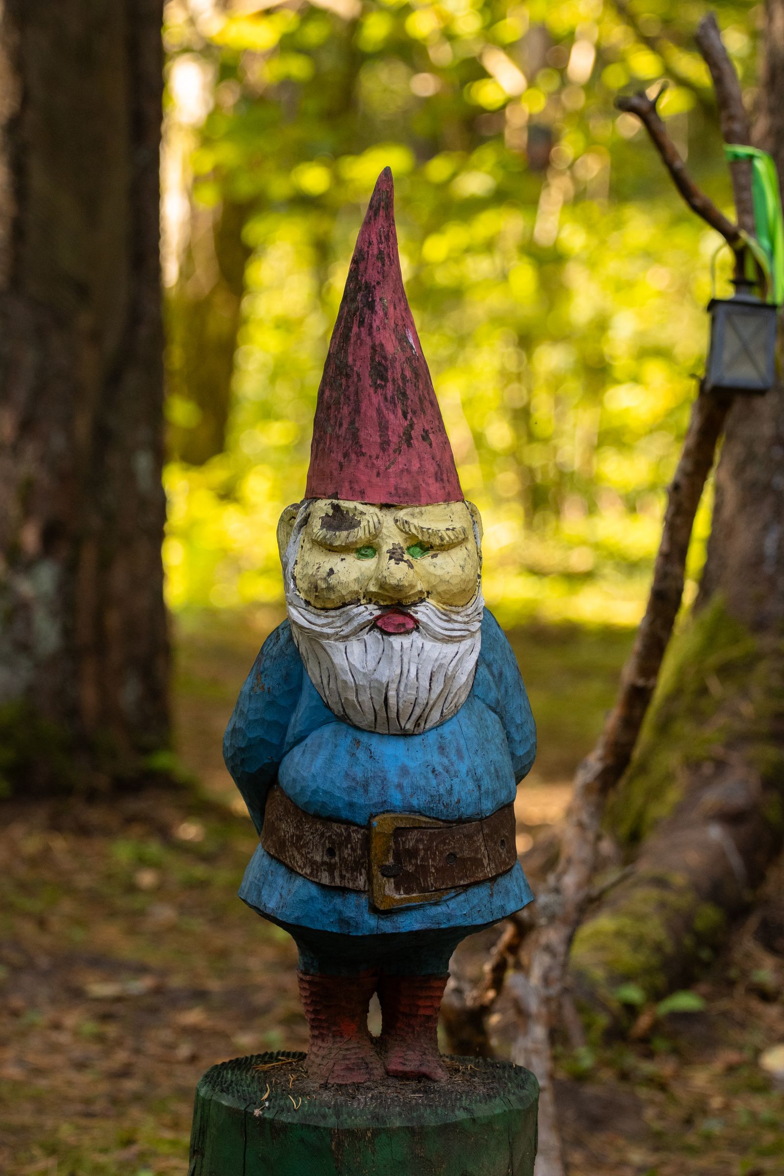 Gnome Photos, Download The BEST Free Gnome Stock Photos & HD Images