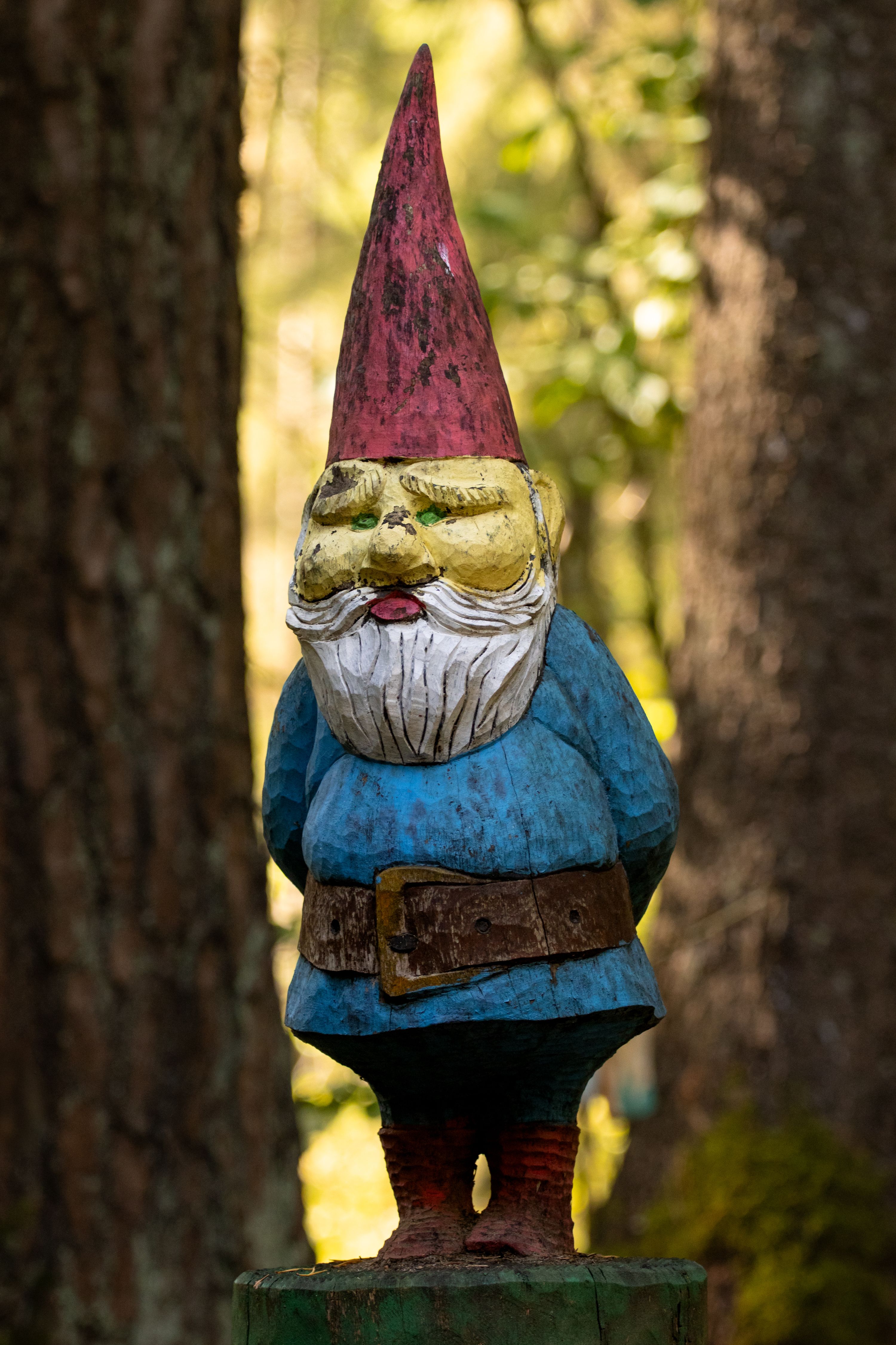 Fall Gnomes Photos, Download The BEST Free Fall Gnomes Stock Photos ...