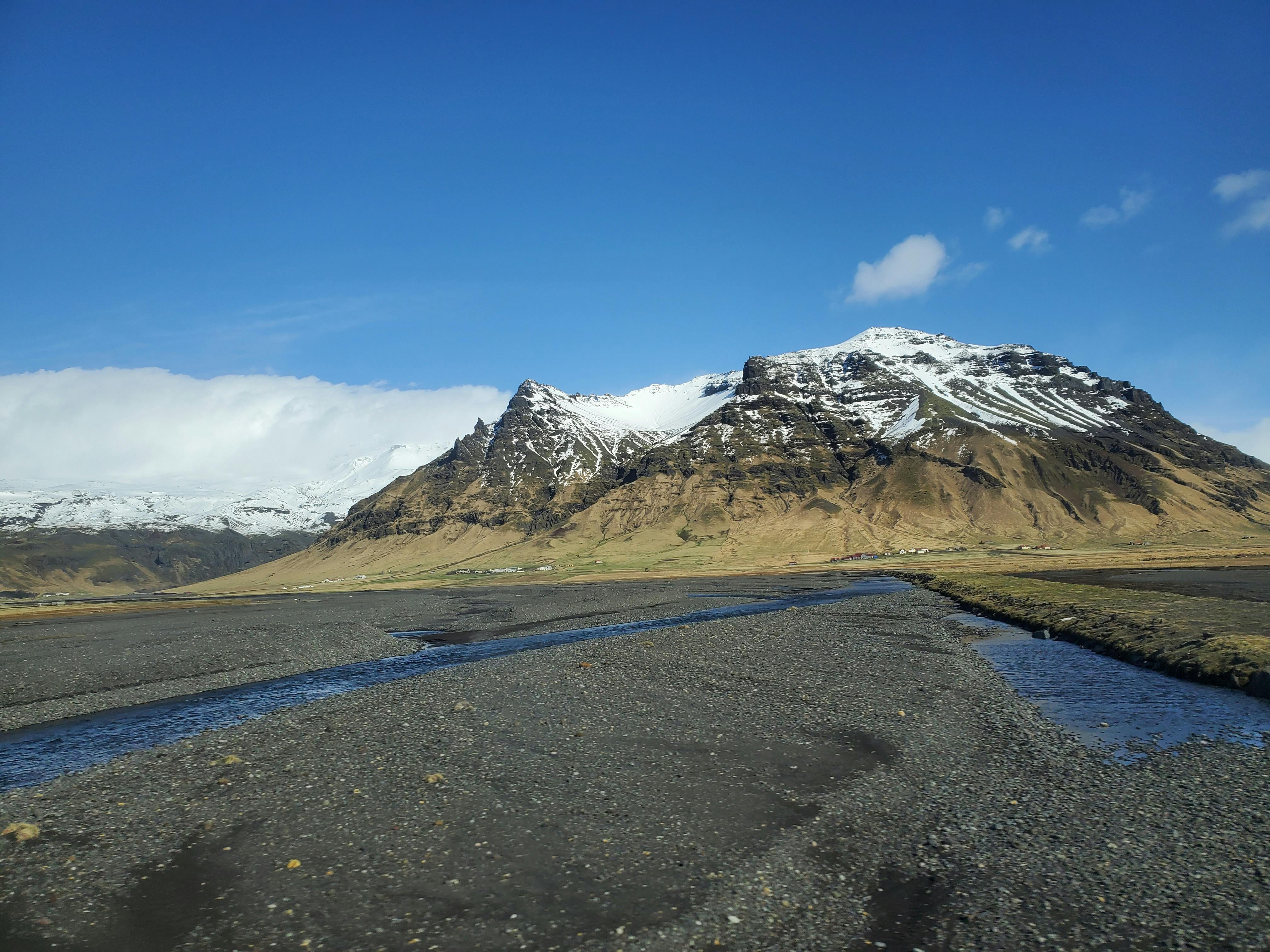 Razorbill+Pair+In+Bolungarvík,+Iceland Photos, Download The BEST Free ...