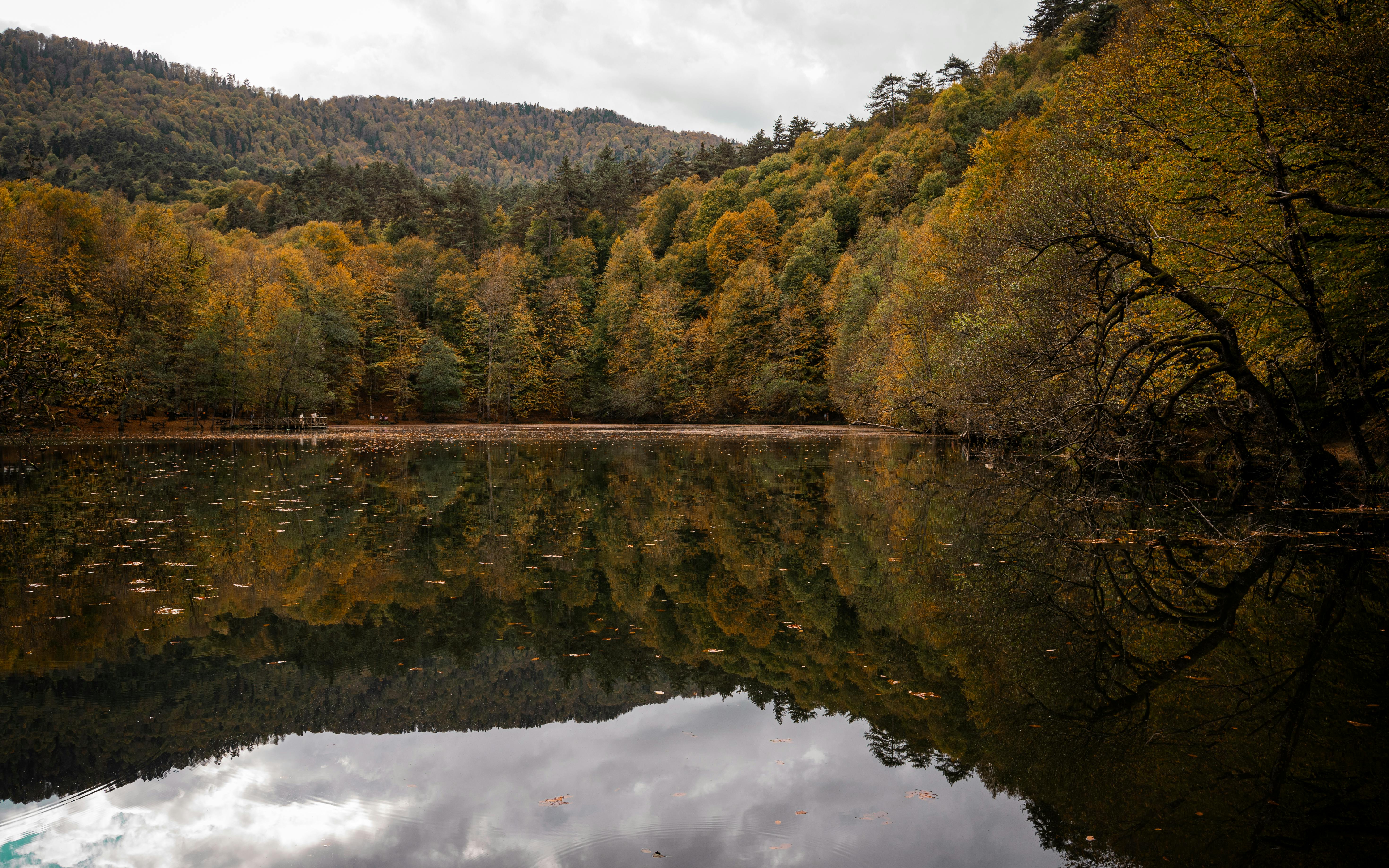 Open+Shirt+Scrollers Photos, Download The BEST Free Open+Shirt ...