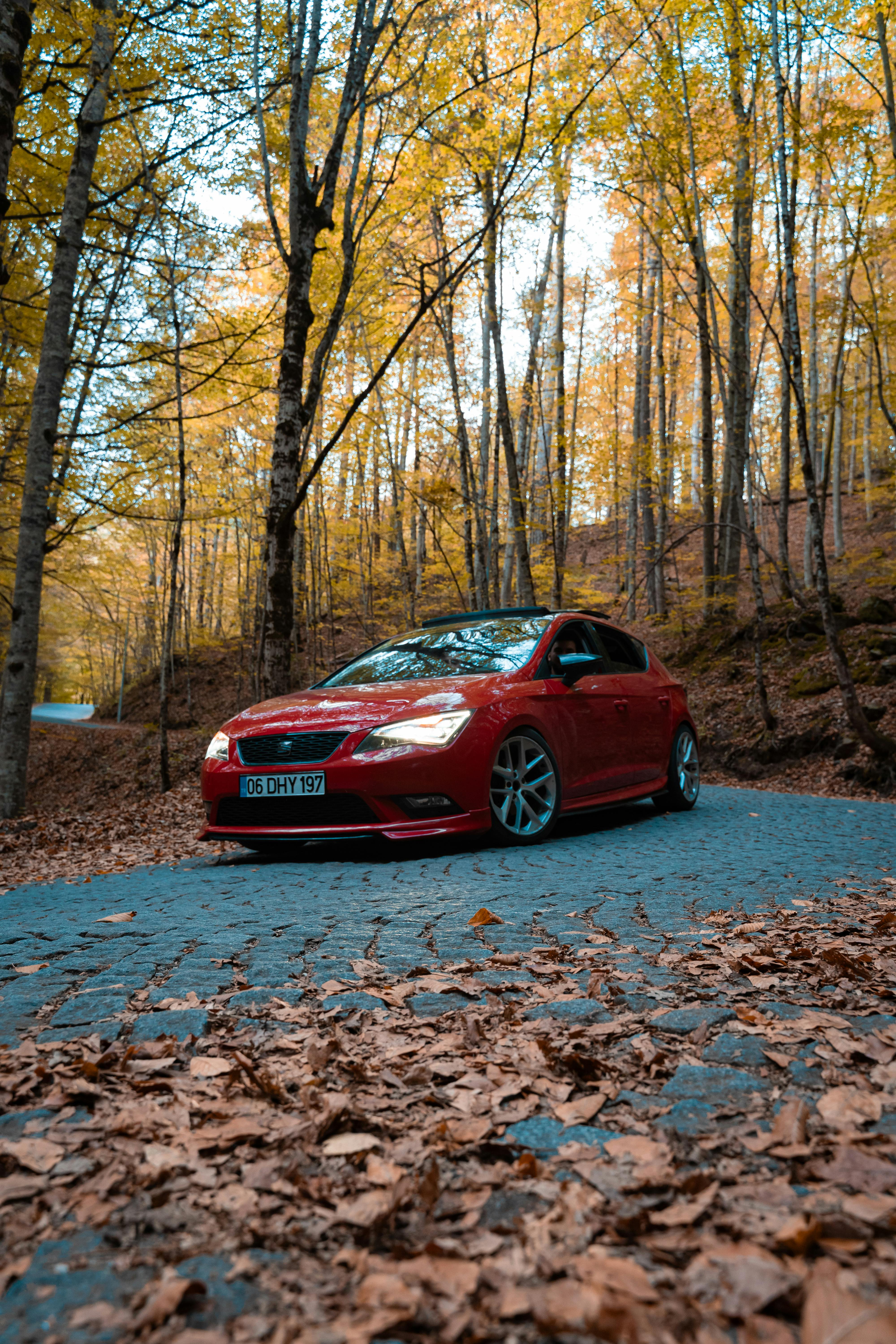 Open+Shirt+Scrollers Photos, Download The BEST Free Open+Shirt ...