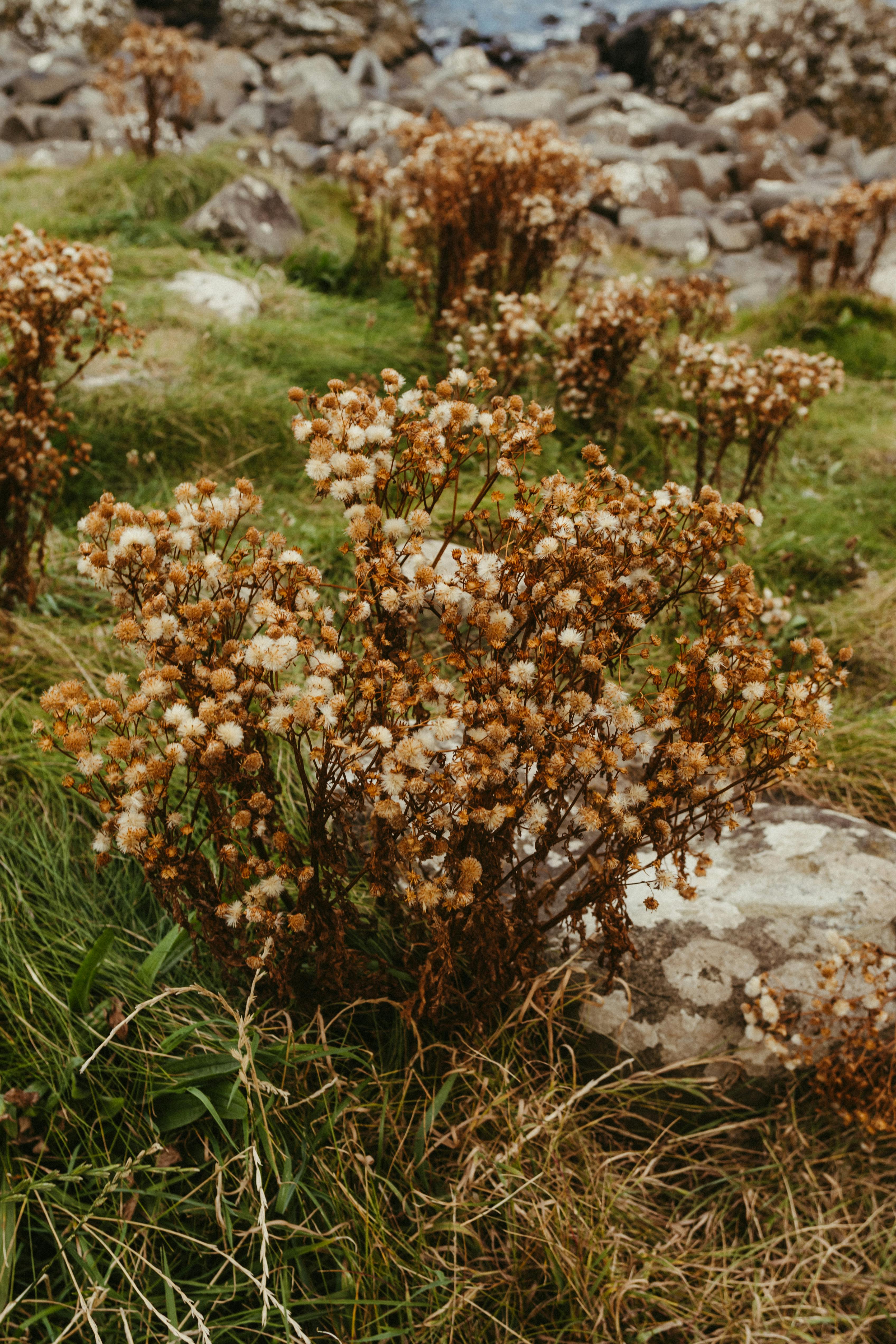 Adobe Photos, Download The BEST Free Adobe Stock Photos & HD Images