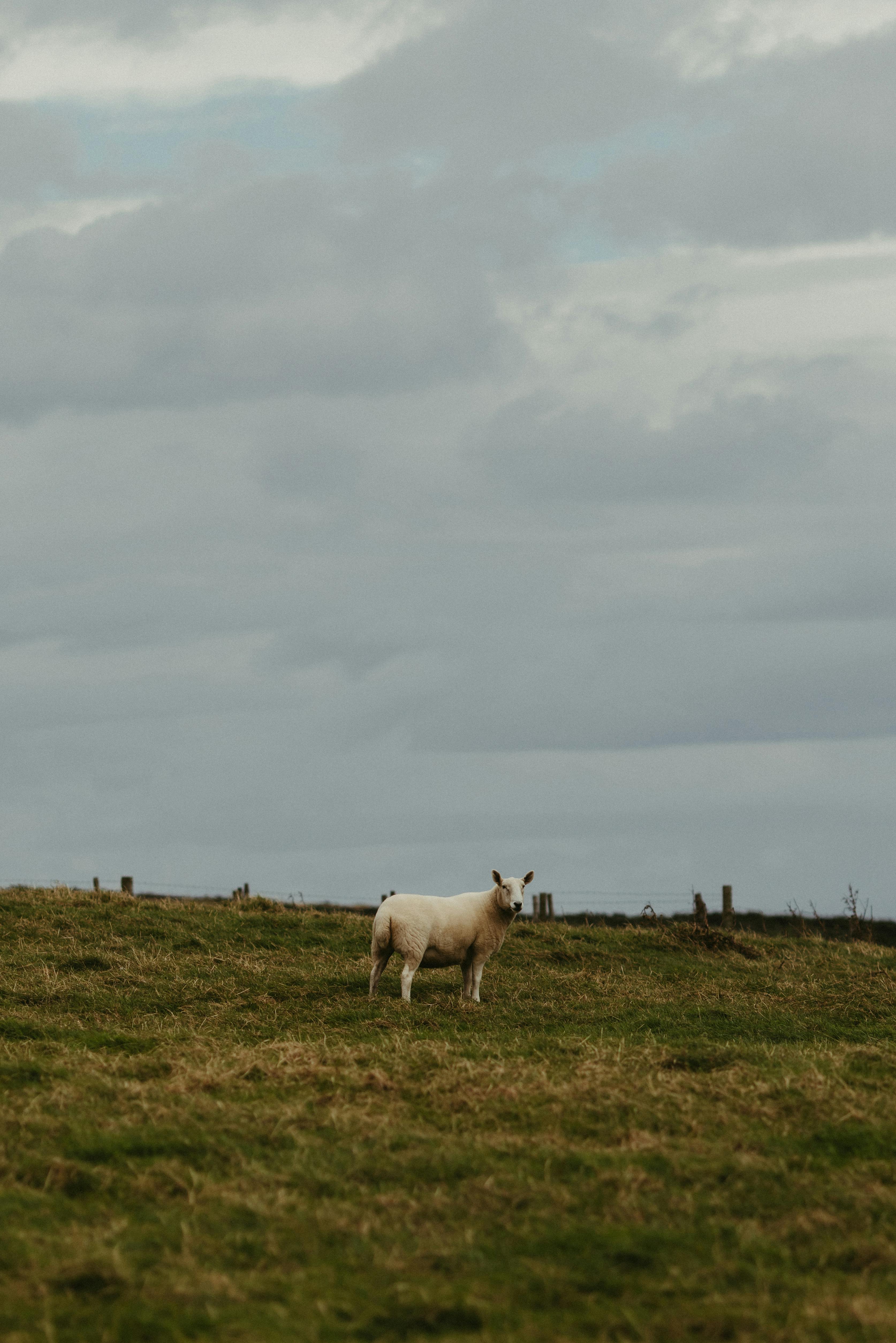 Free+Obby+Thumbnail Photos, Download The BEST Free Free+Obby+Thumbnail ...