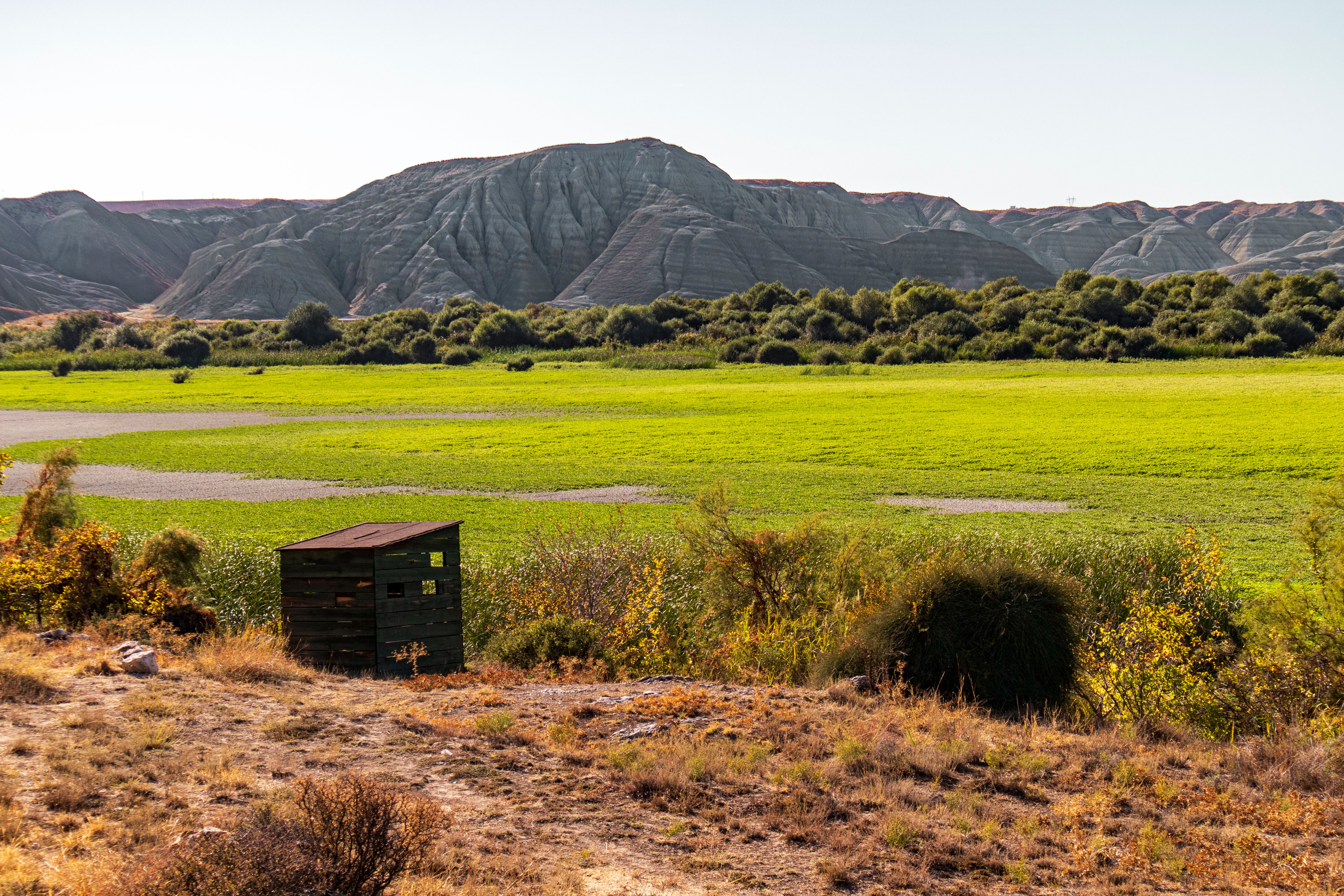 Beautiful Landscape at Nallıhan Bird Sanctuary · Free Stock Photo