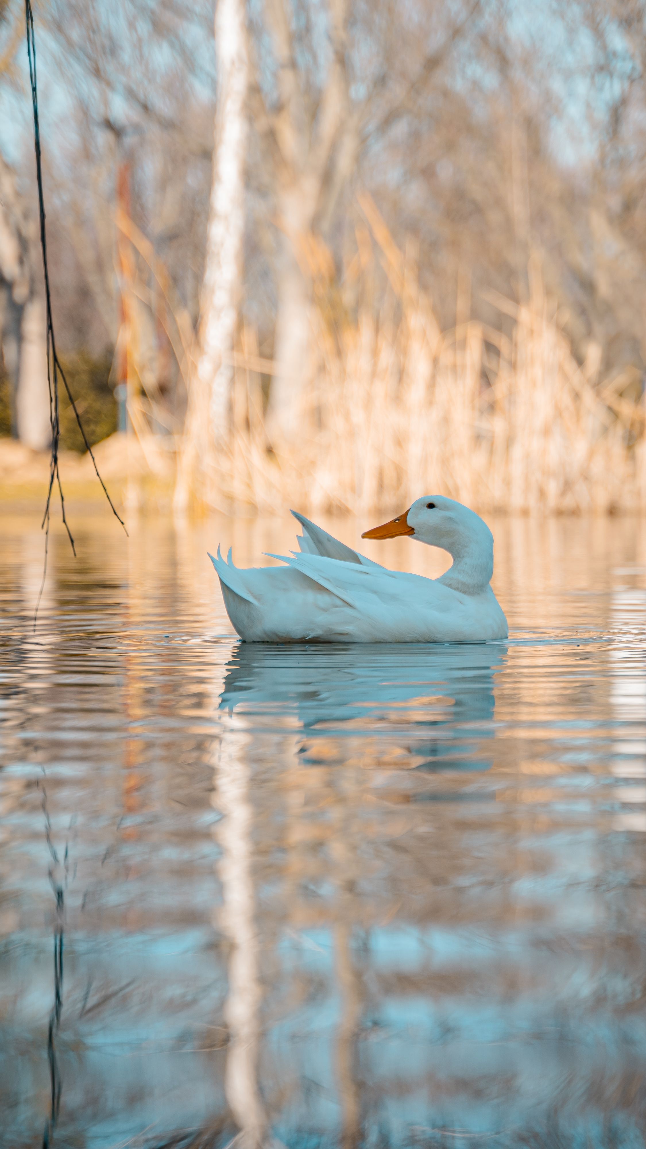 Water Nature Photos, Download The BEST Free Water Nature Stock Photos ...