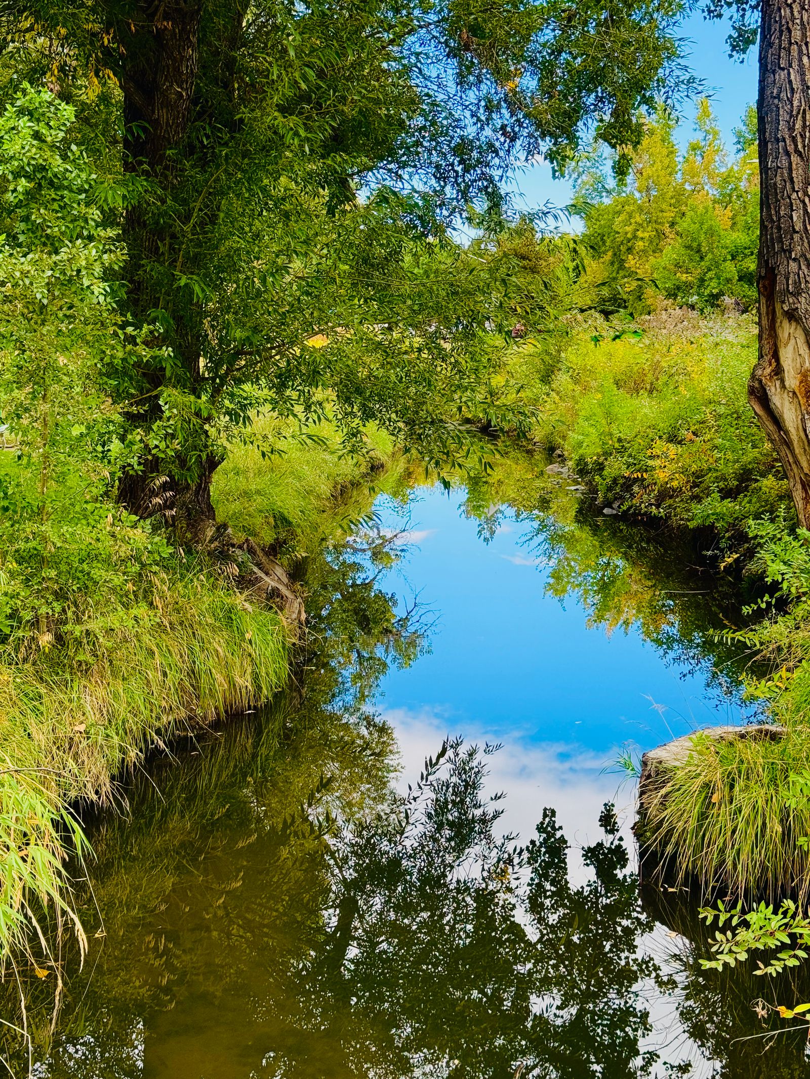 Water Nature Photos, Download The BEST Free Water Nature Stock Photos ...
