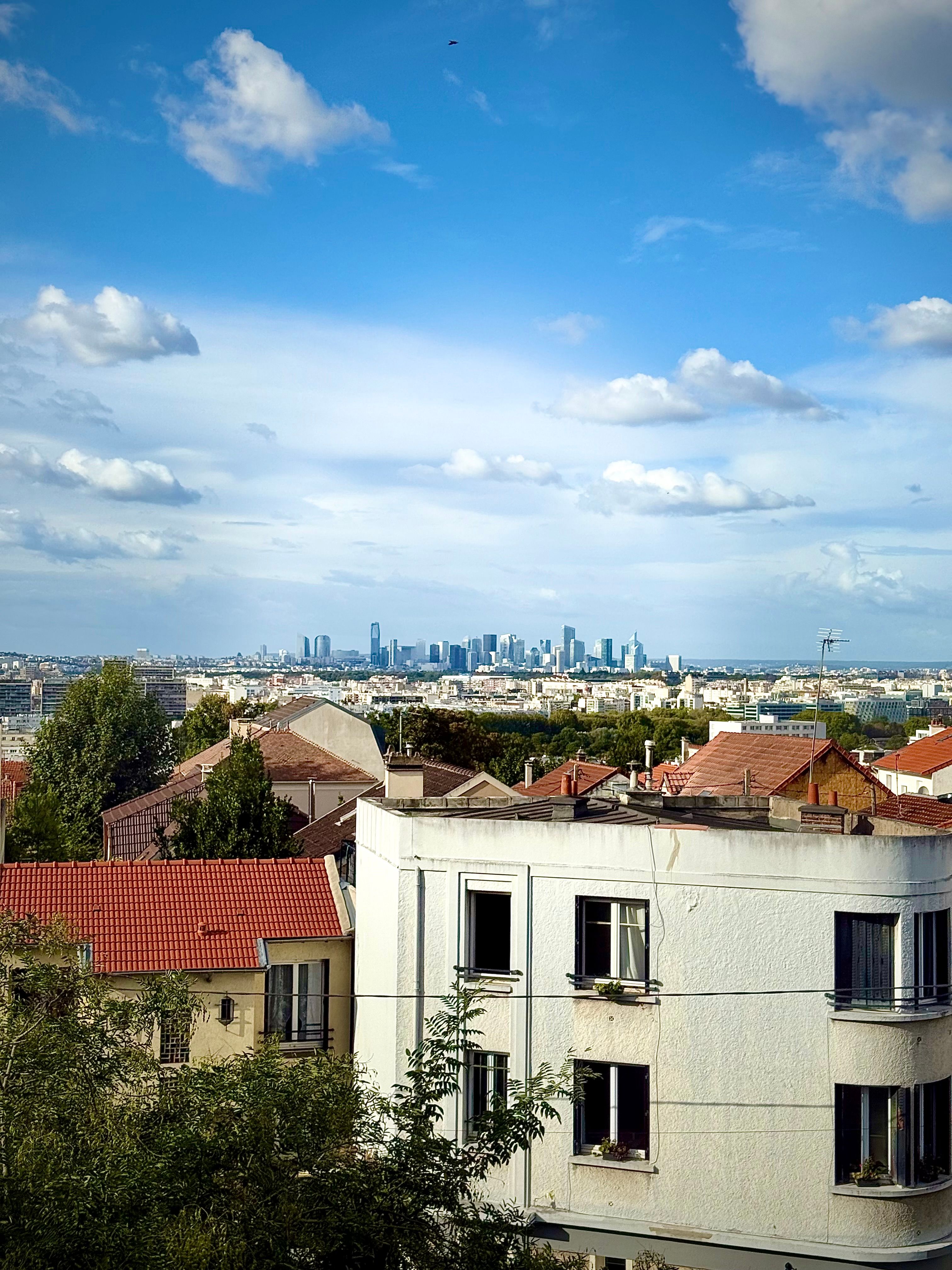 Scenic Paris View with City Skyline · Free Stock Photo