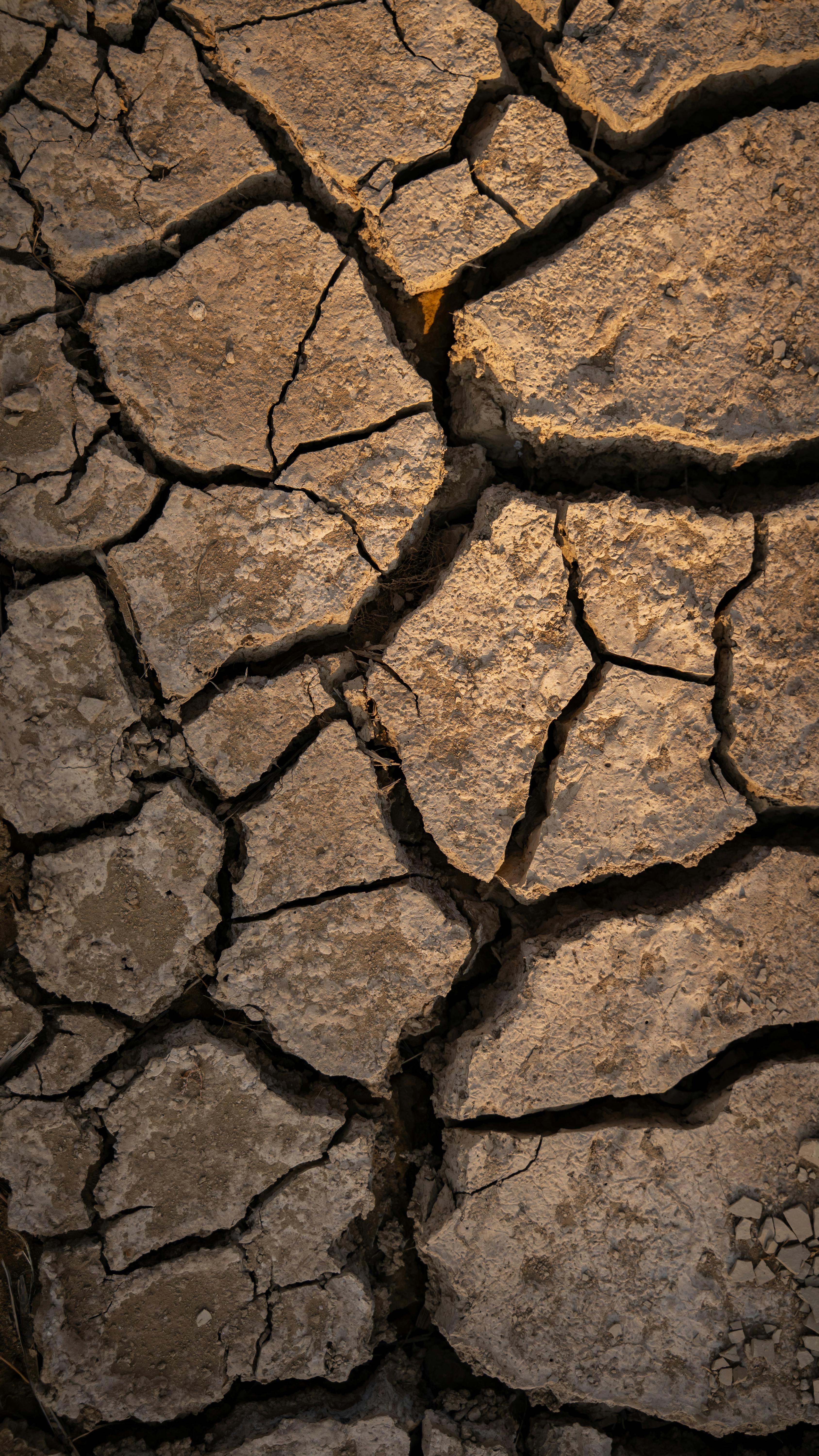 Soil Land Photos, Download The BEST Free Soil Land Stock Photos & HD Images