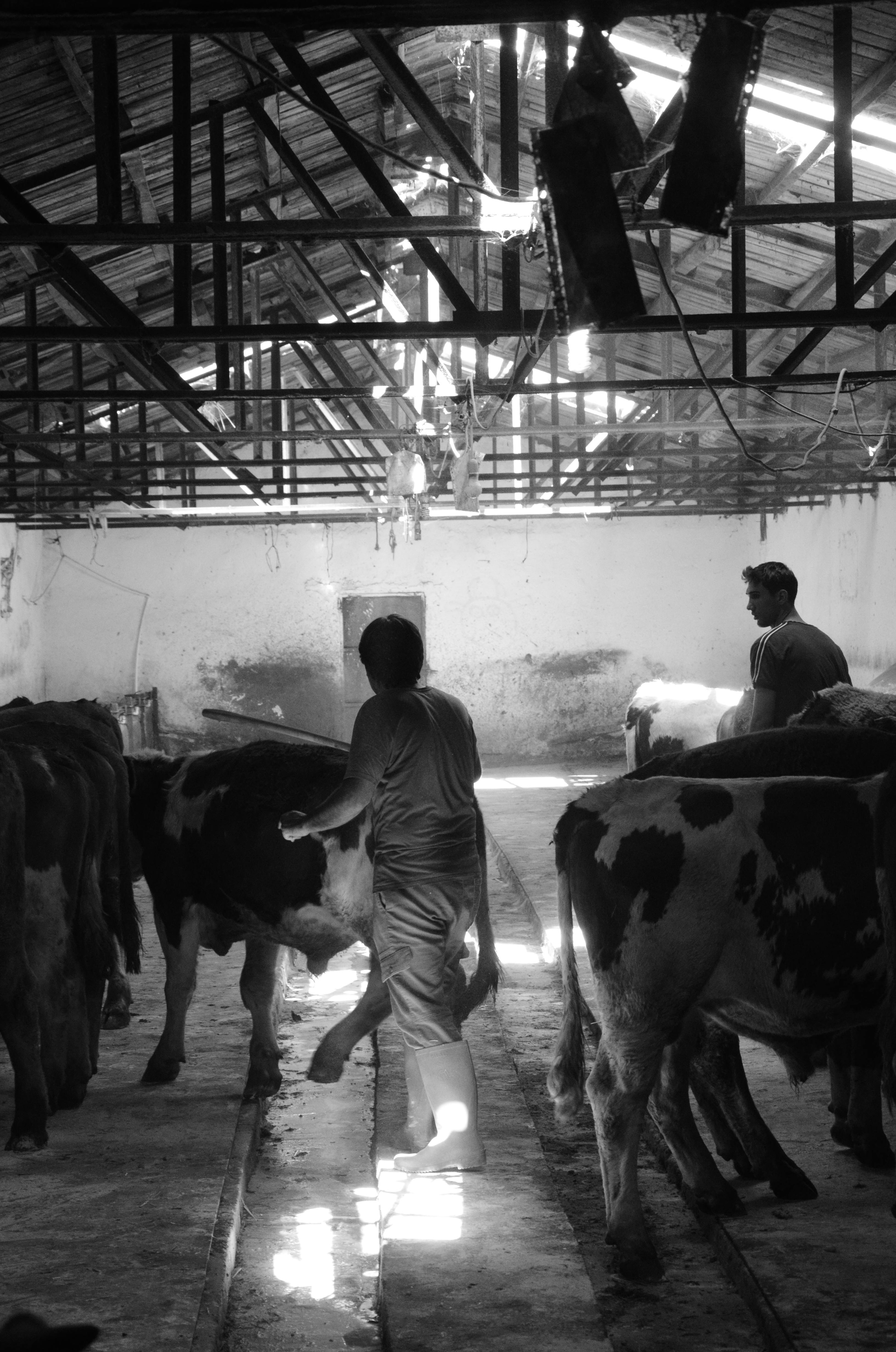 Anime+Goon+Wallpaper Photos, Download The BEST Free Anime+Goon ...