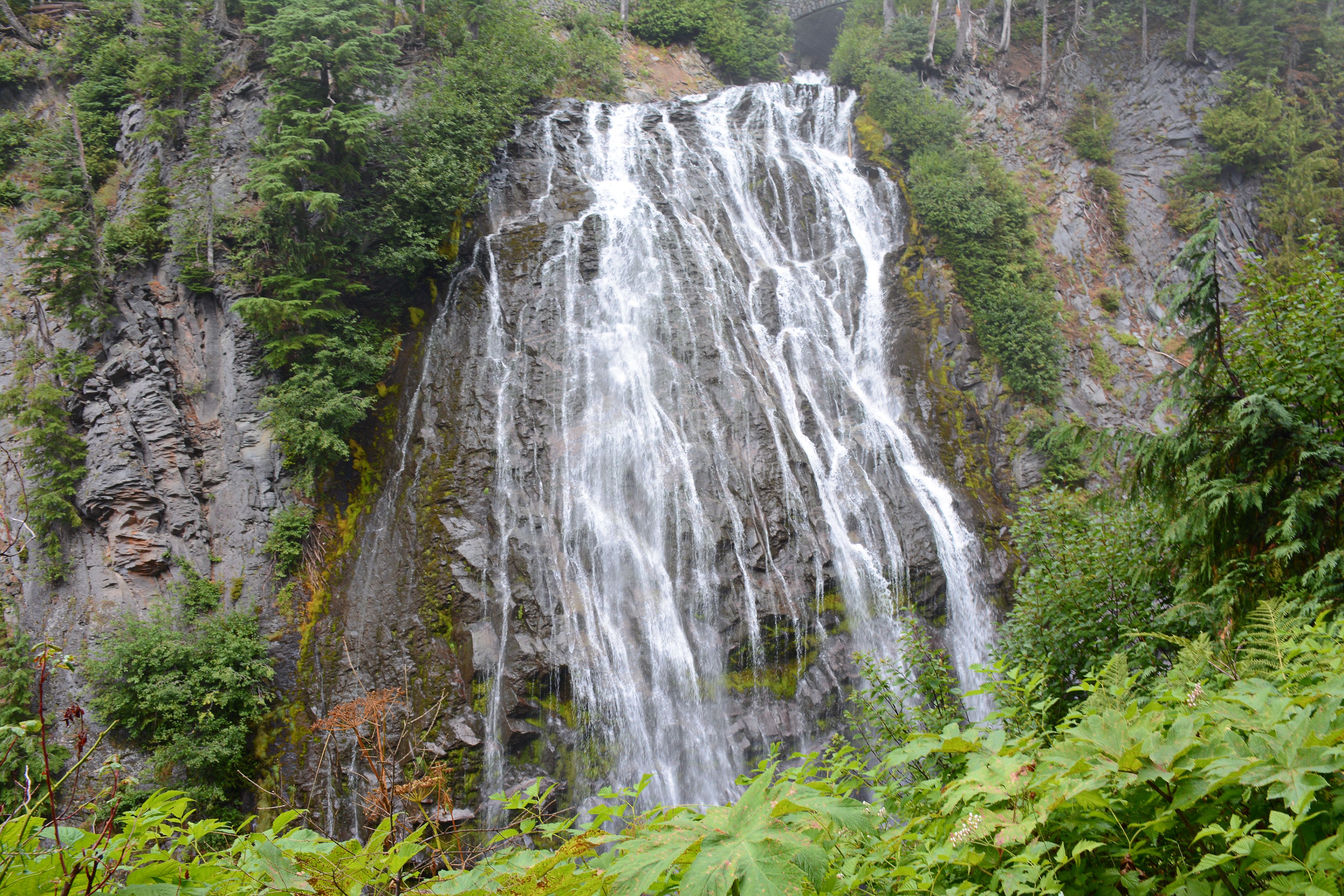 Majestic Waterfall in the Lush Washington Wilderness · Free Stock Photo