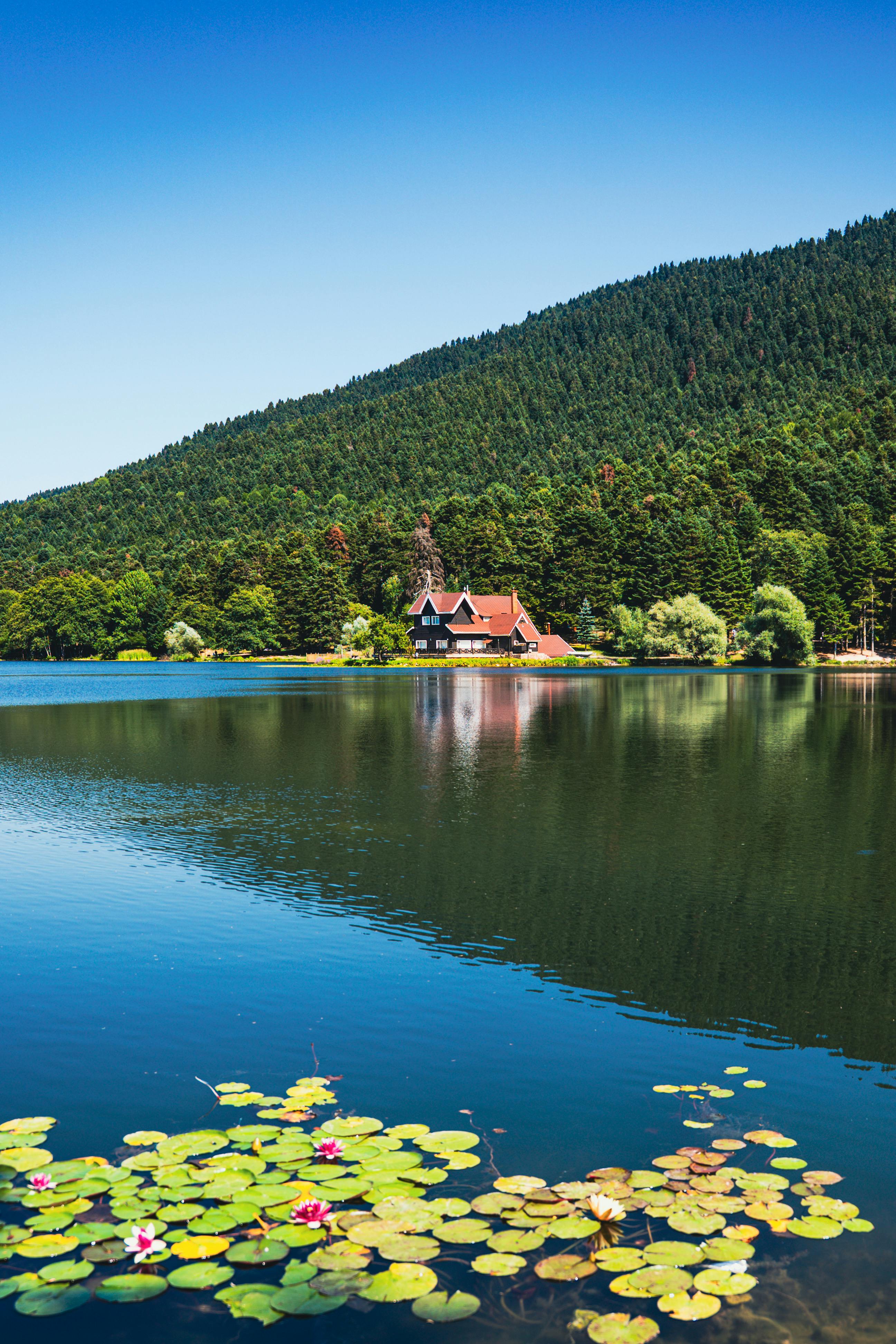 Charming Lakeside House in Scenic Mountain Setting · Free Stock Photo