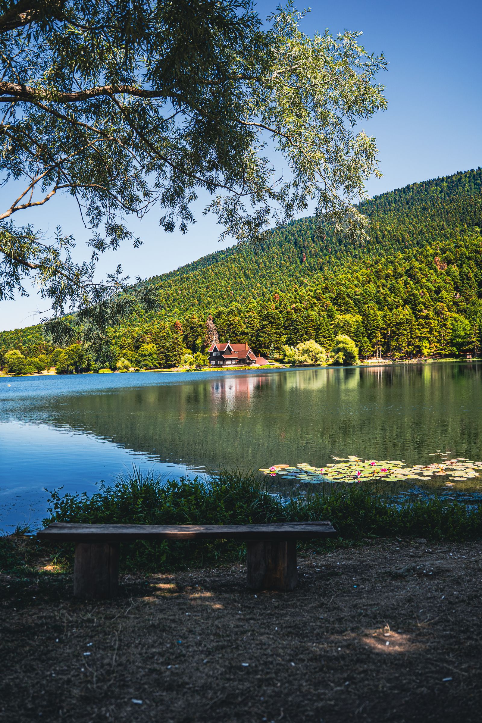 Water Nature Photos, Download The BEST Free Water Nature Stock Photos ...