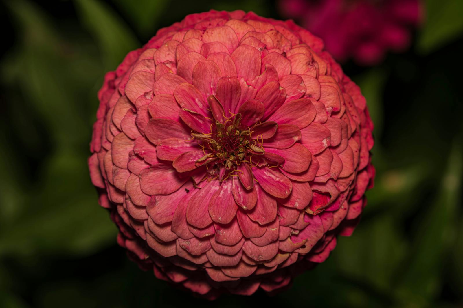 Minecraft+Shelf+Desktop+Wallpaper Photos, Download The BEST Free ...