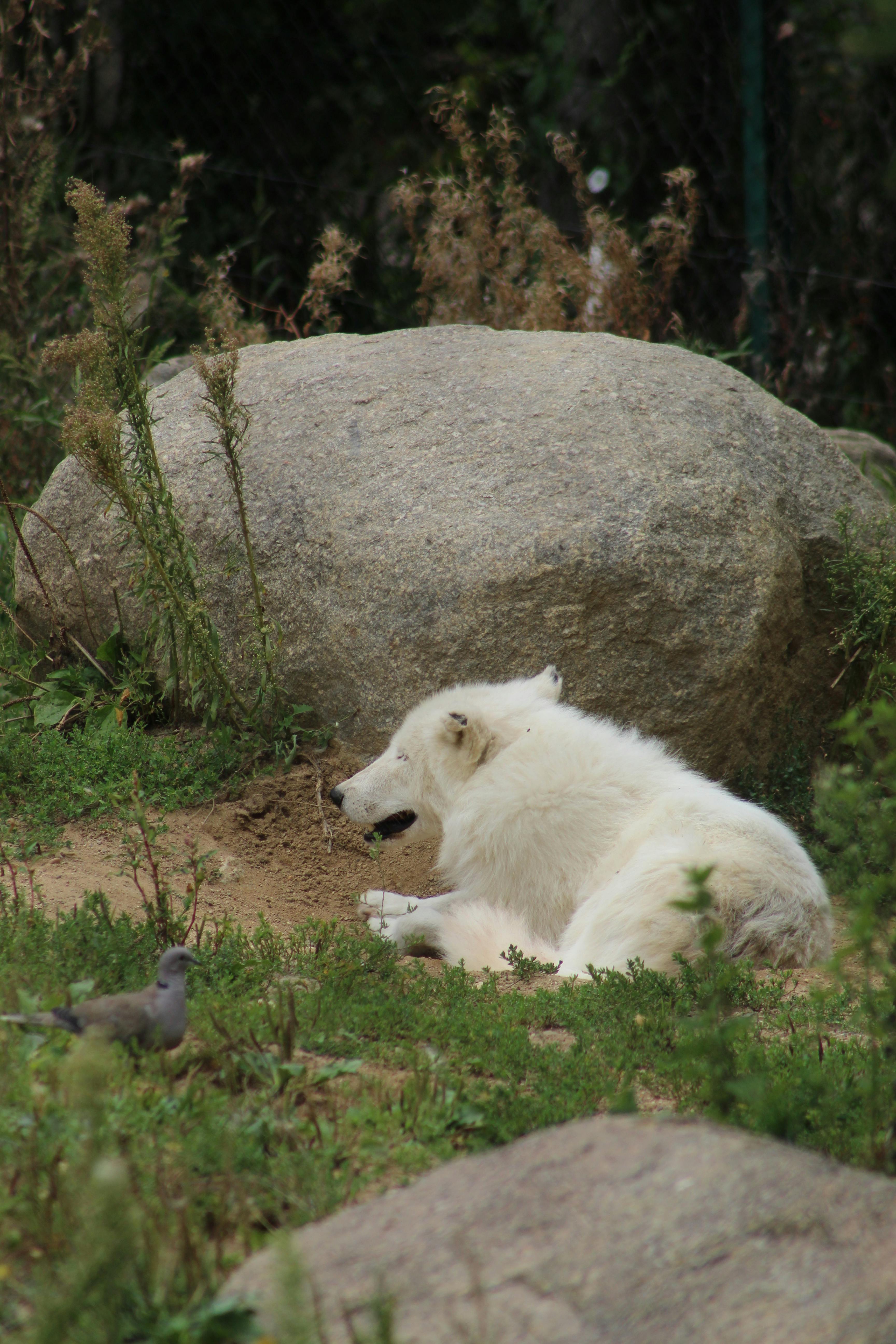 Anime+Goon+Wallpaper Photos, Download The BEST Free Anime+Goon ...