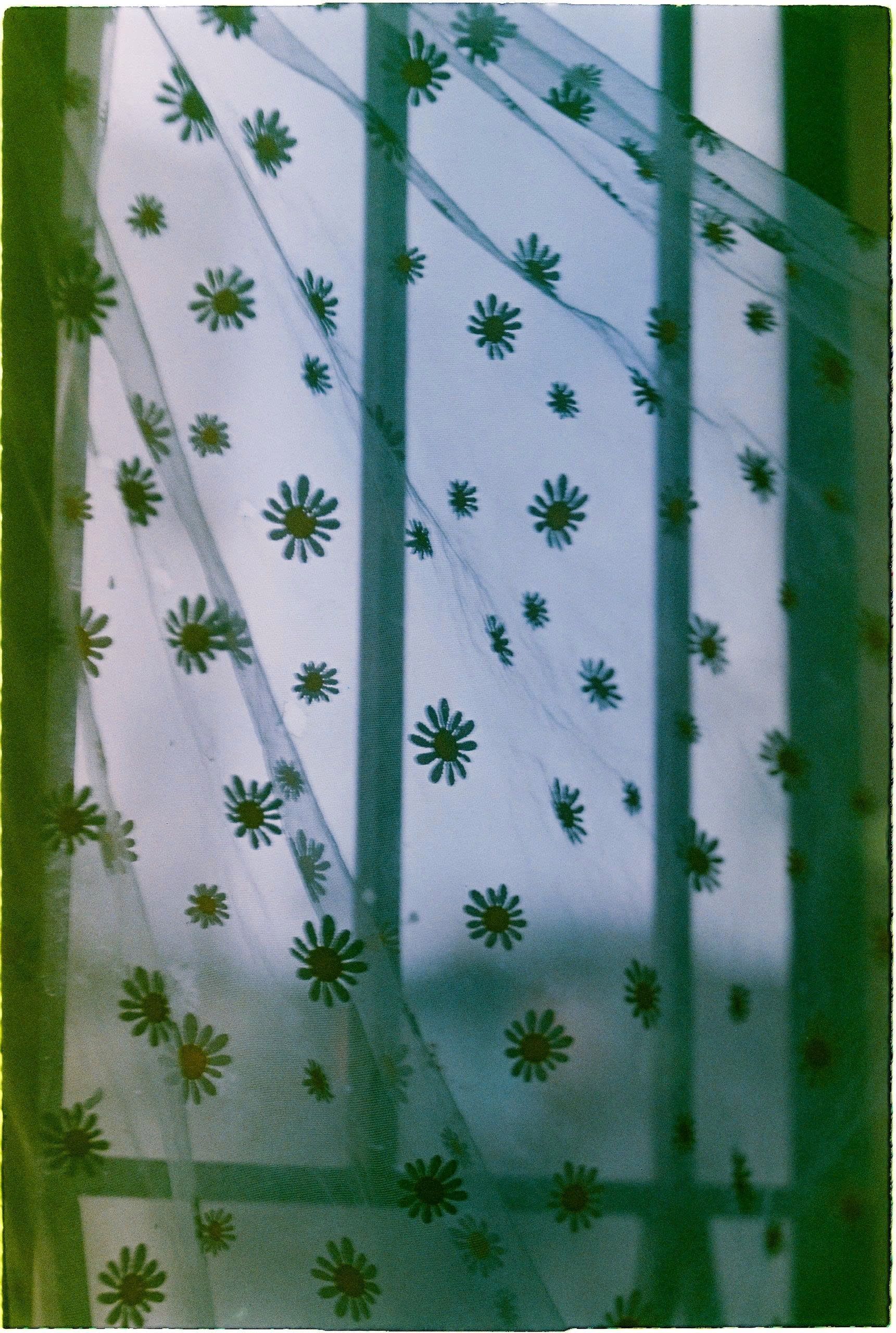 Ethereal Floral Curtain Draped Over Window Frame · Free Stock Photo