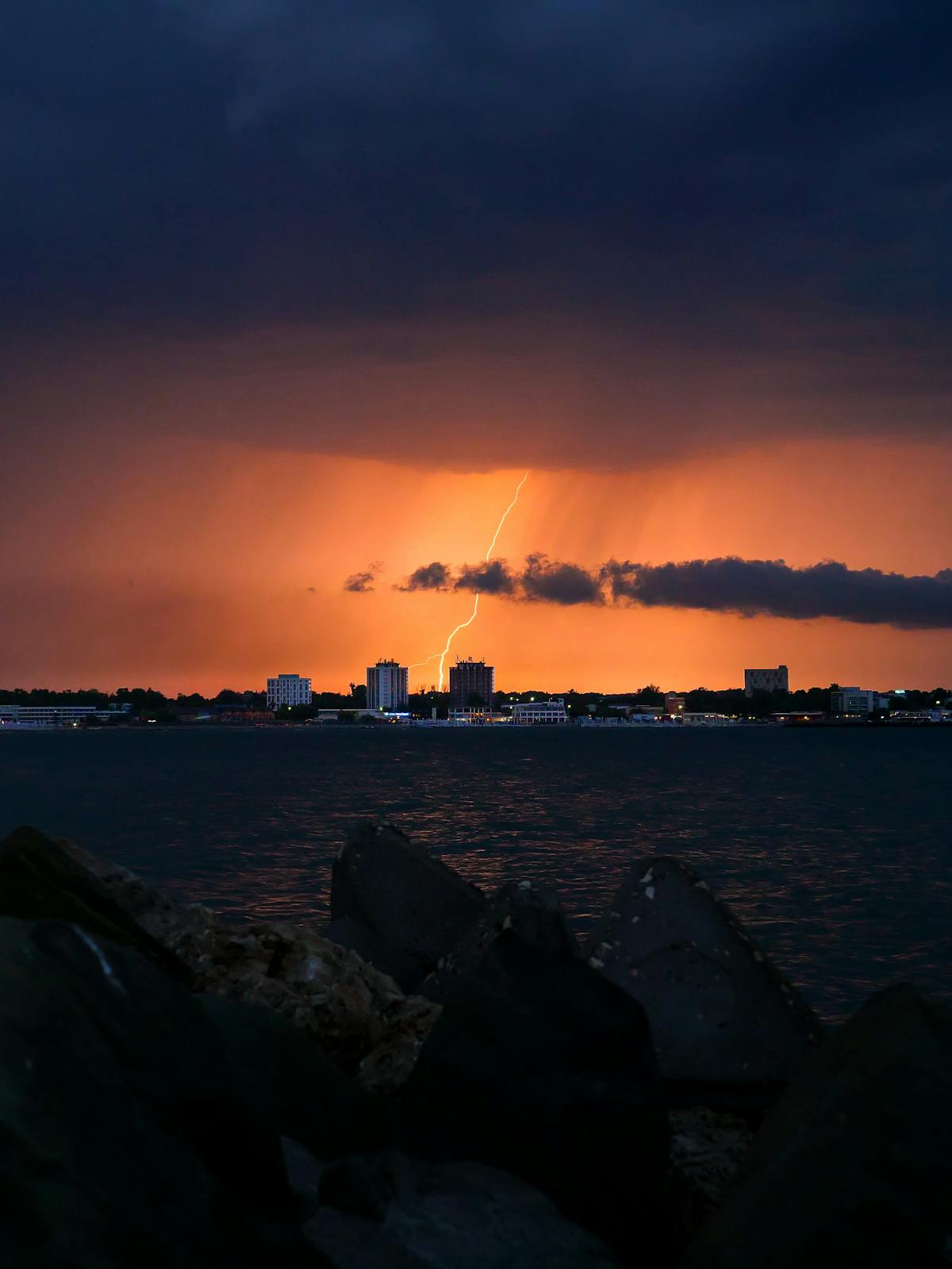 Lightskin+Back+Shots Photos, Download The BEST Free Lightskin+Back ...