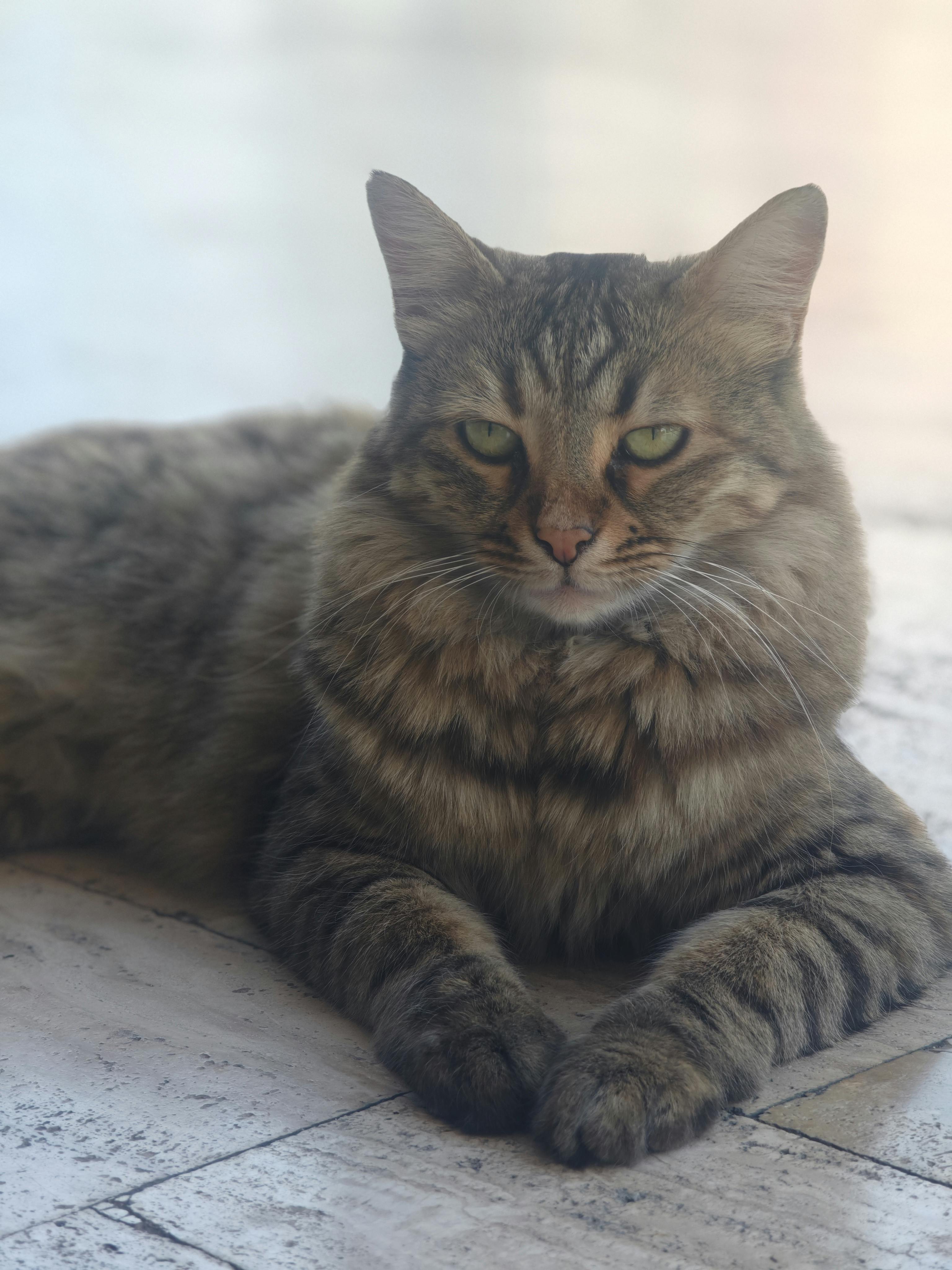 Anime+Goon+Wallpaper Photos, Download The BEST Free Anime+Goon ...