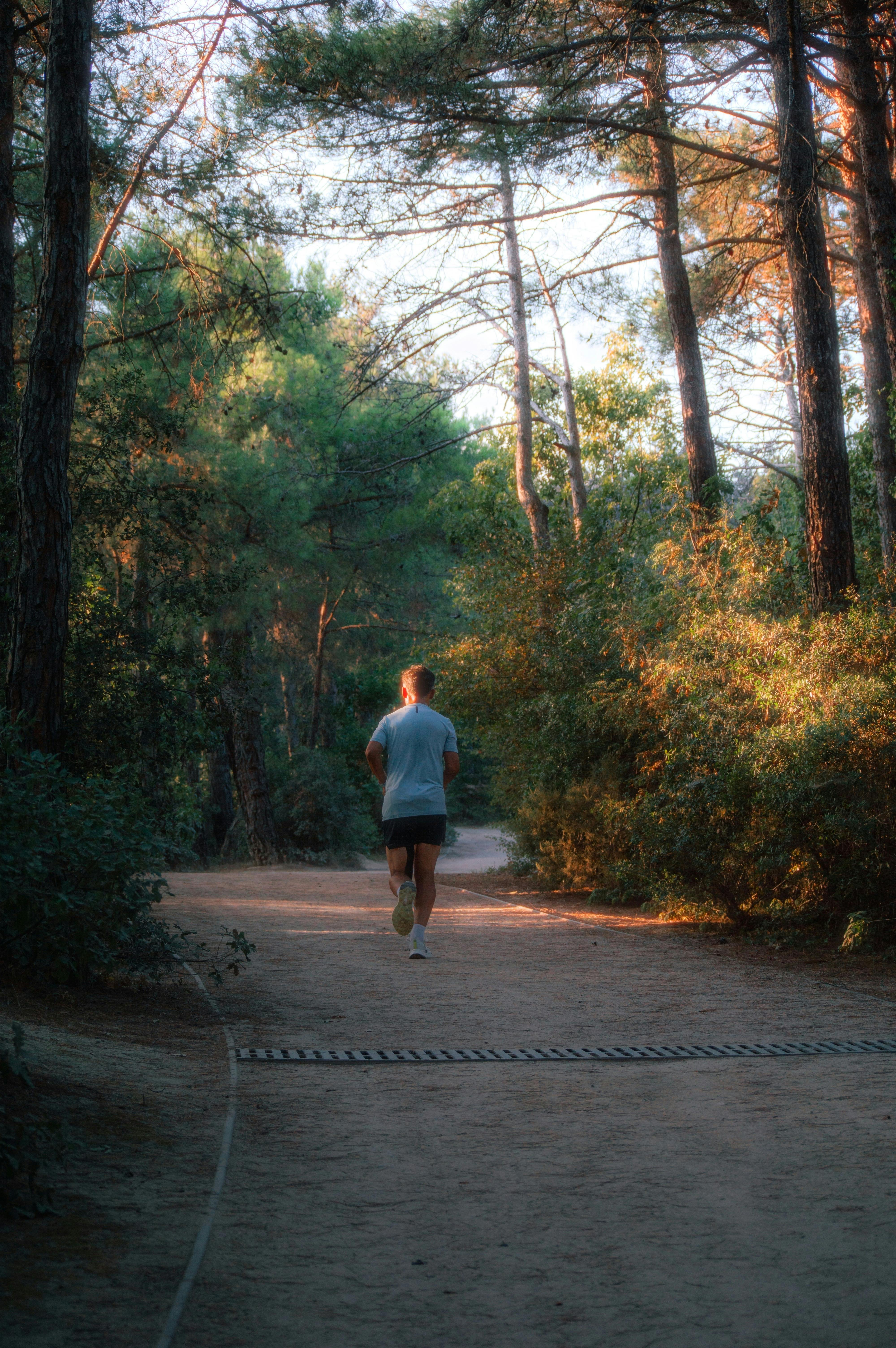 Trail Running Photos, Download The BEST Free Trail Running Stock Photos ...