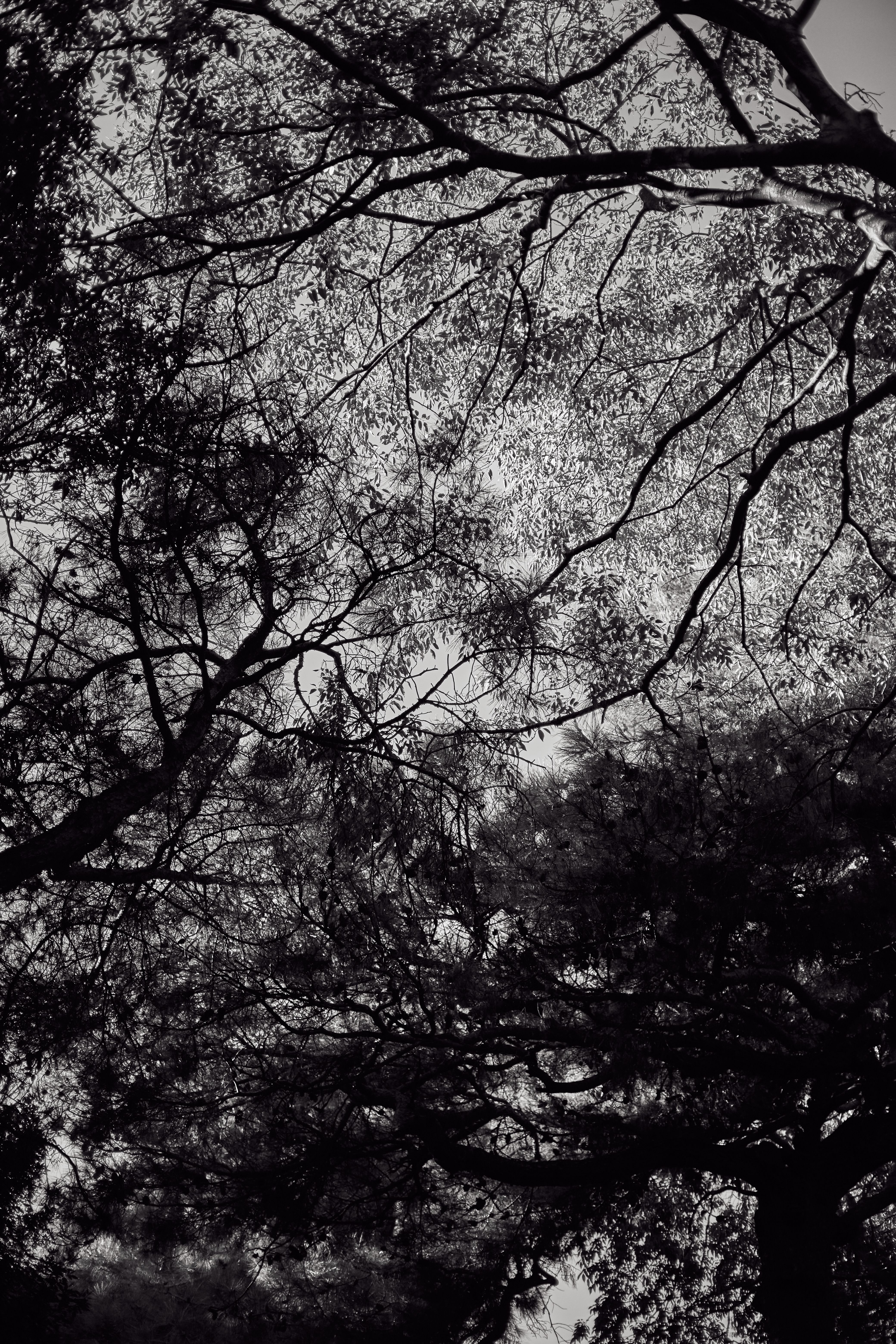 Dark Texture Background Photos, Download The BEST Free Dark Texture ...