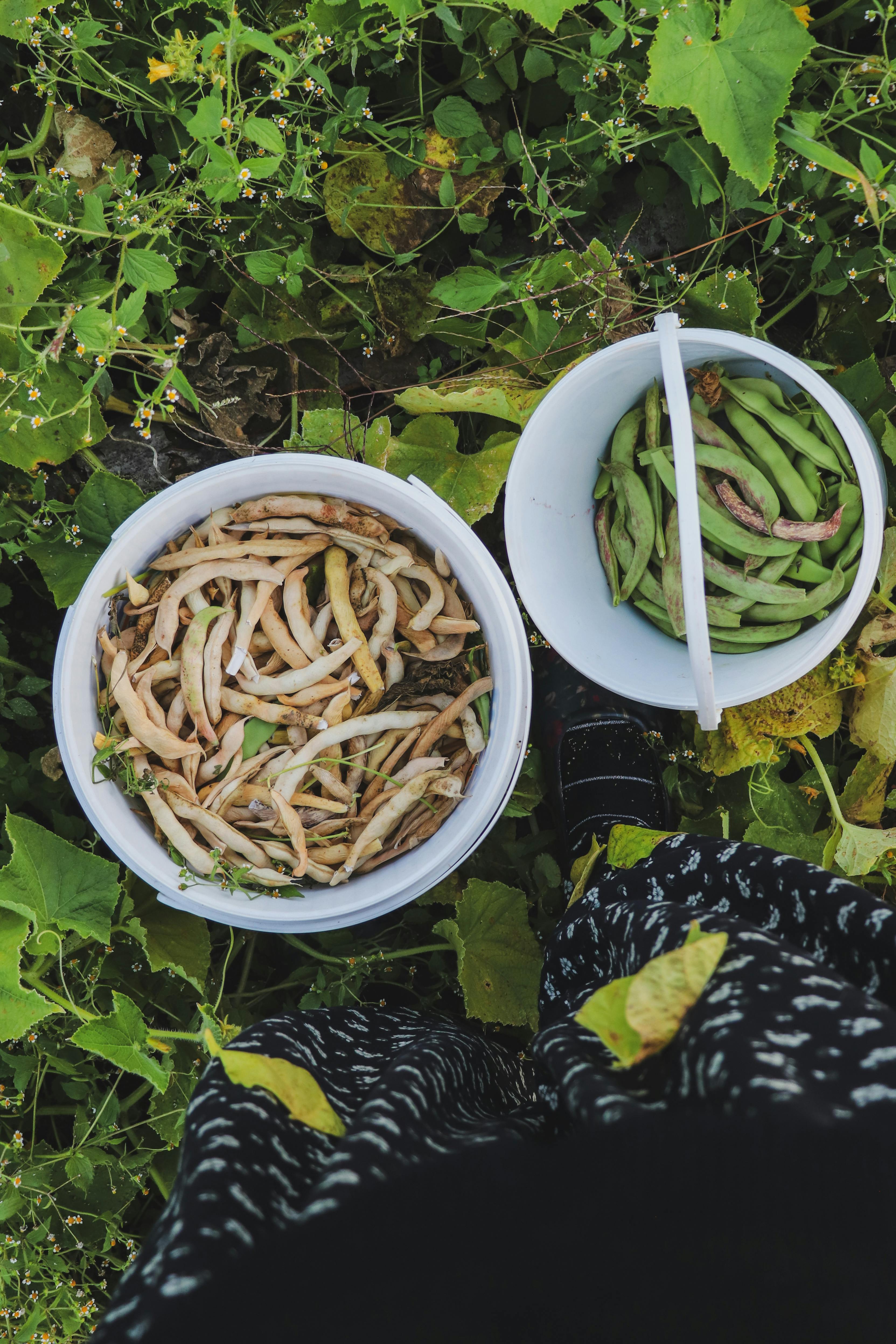 Fall Food Photos, Download The BEST Free Fall Food Stock Photos & HD Images