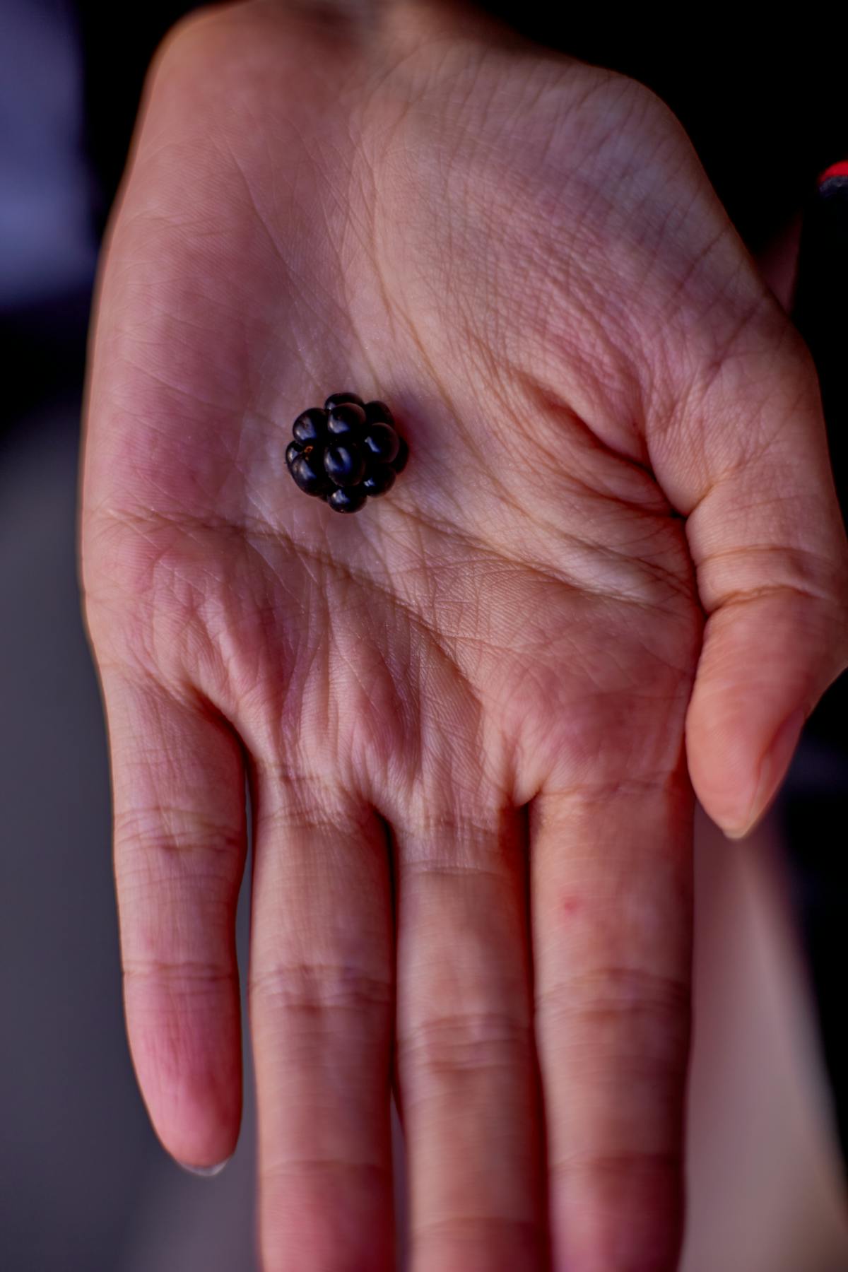 Hands Holding Something Photos, Download The BEST Free Hands Holding ...