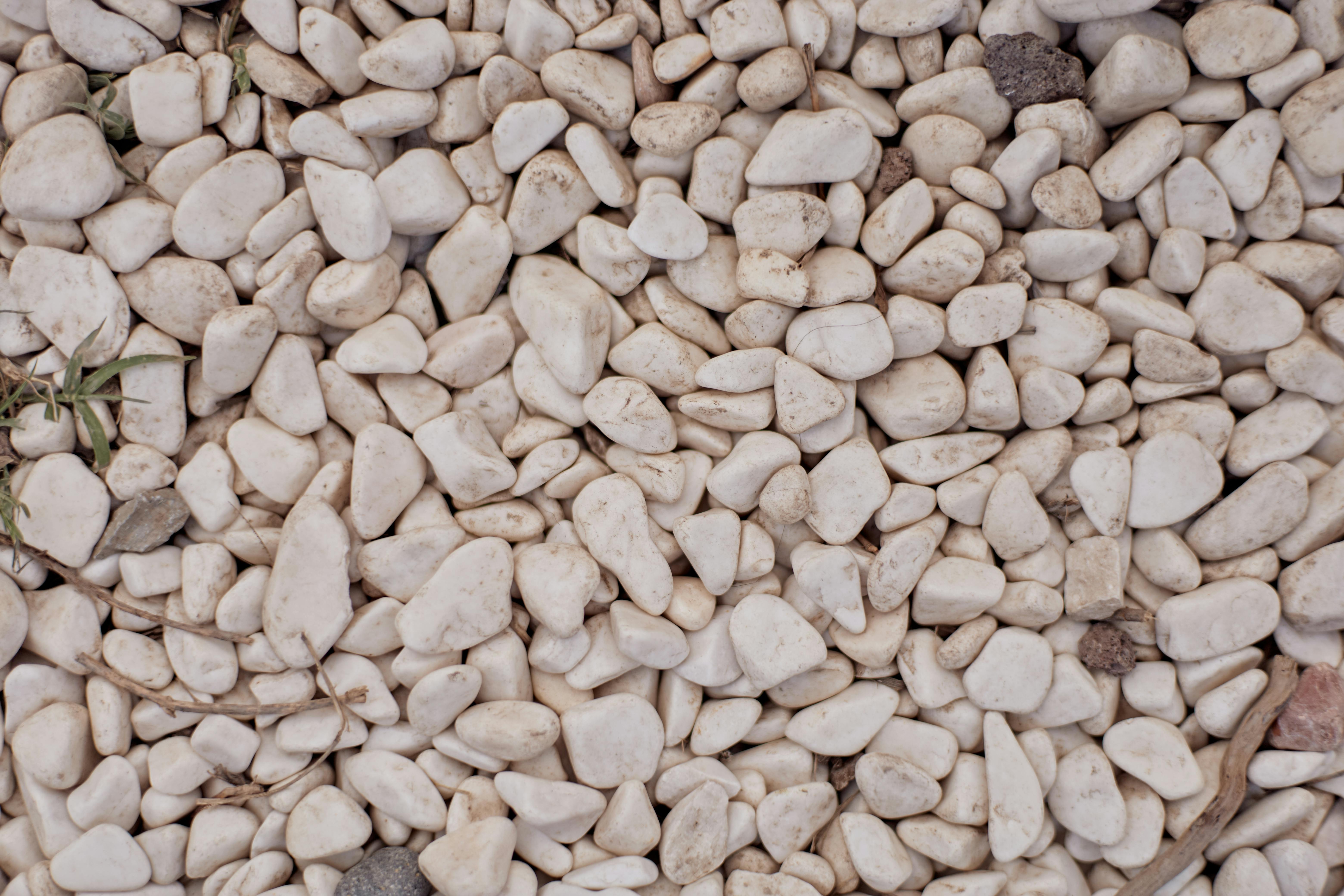 White Solid Background Photos, Download The BEST Free White Solid ...