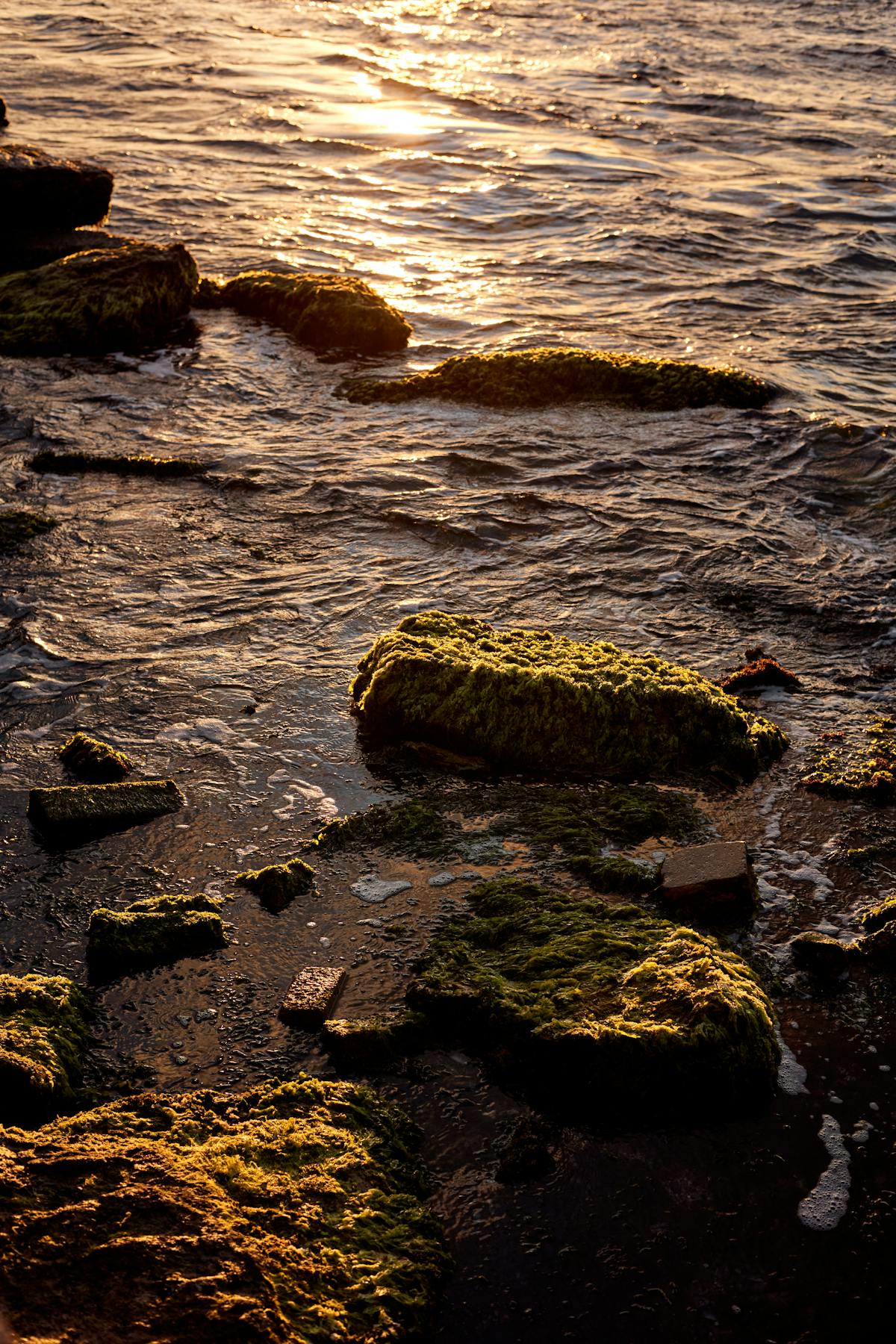 Sunset With Ocean Waves Photos, Download The BEST Free Sunset With ...