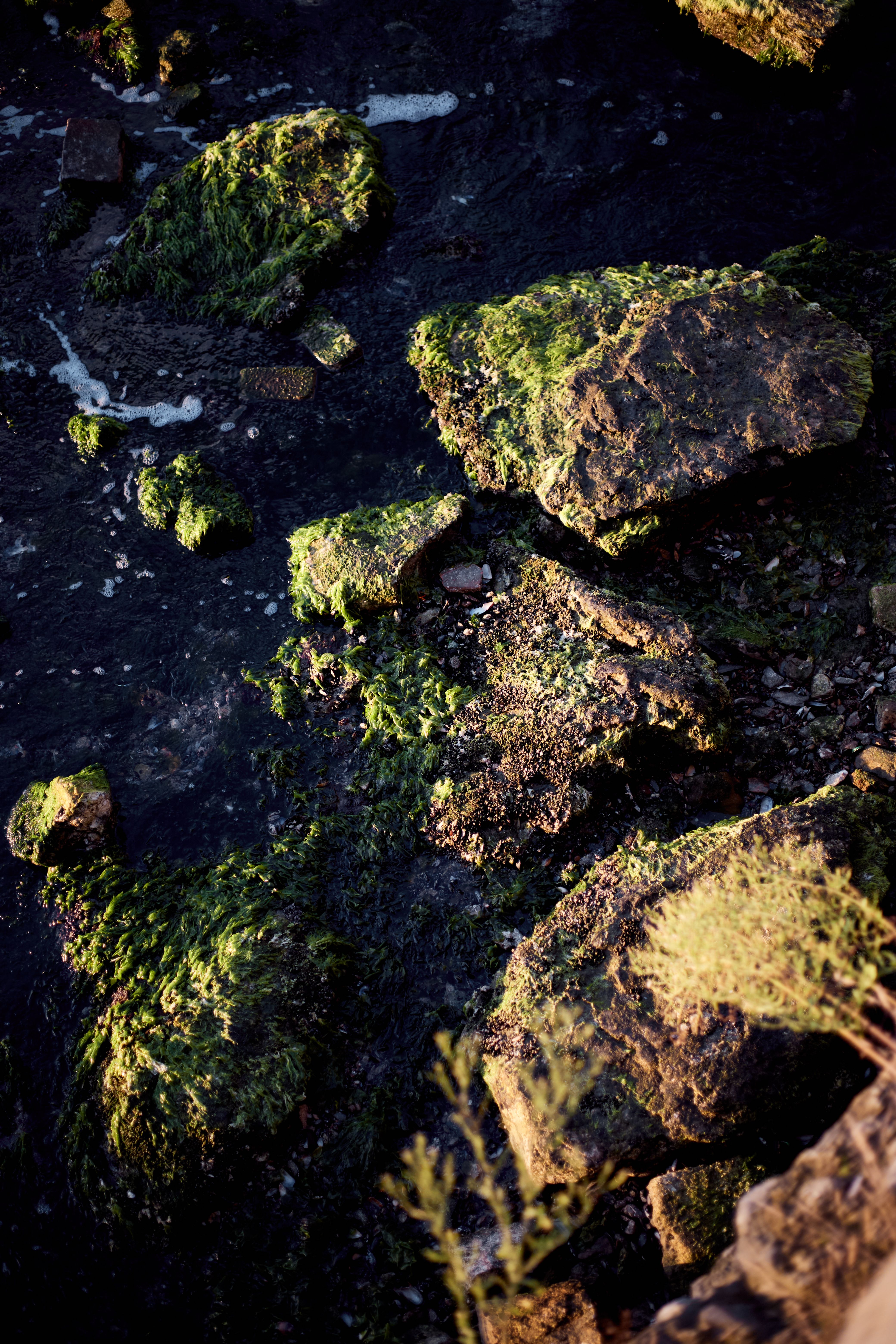 Wet Ecosystem Photos, Download The BEST Free Wet Ecosystem Stock Photos ...
